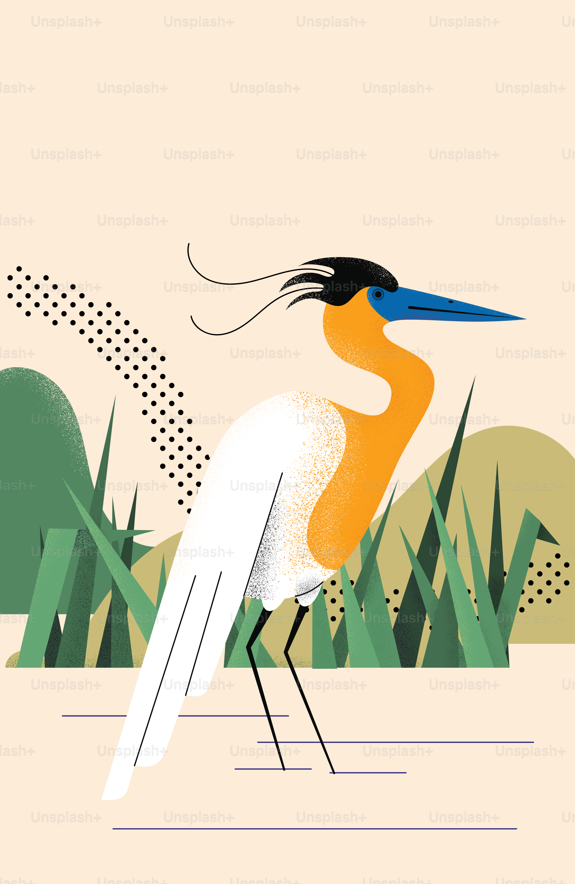 500+ Bird Pictures [HD] | Download Free Images on Unsplash