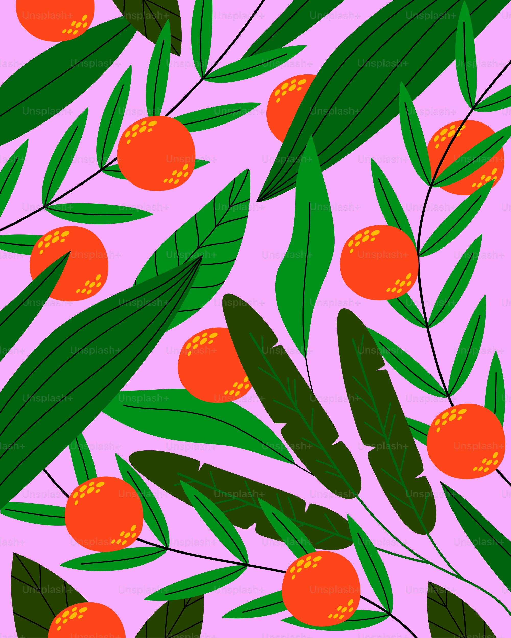 Vector Image on Unsplash