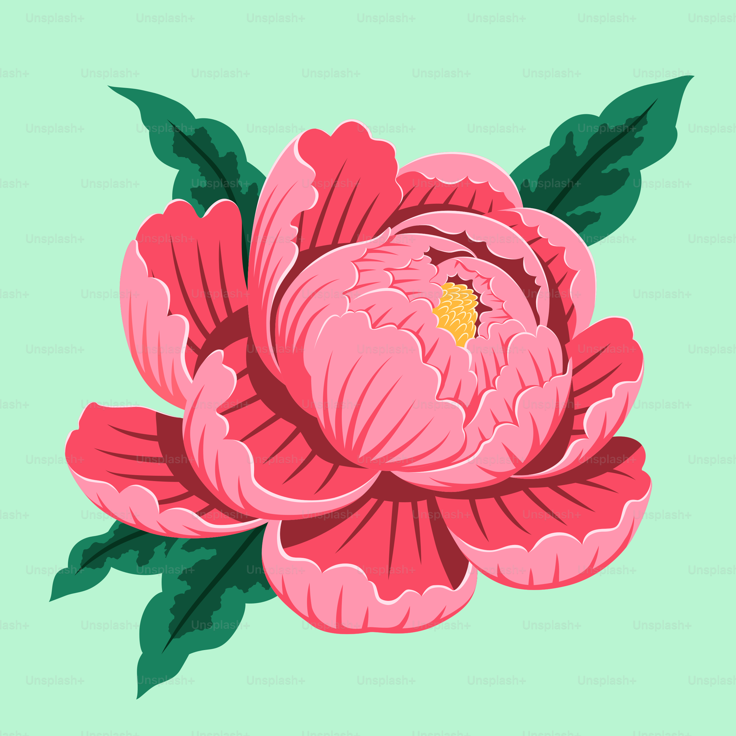 Flower Image on Unsplash