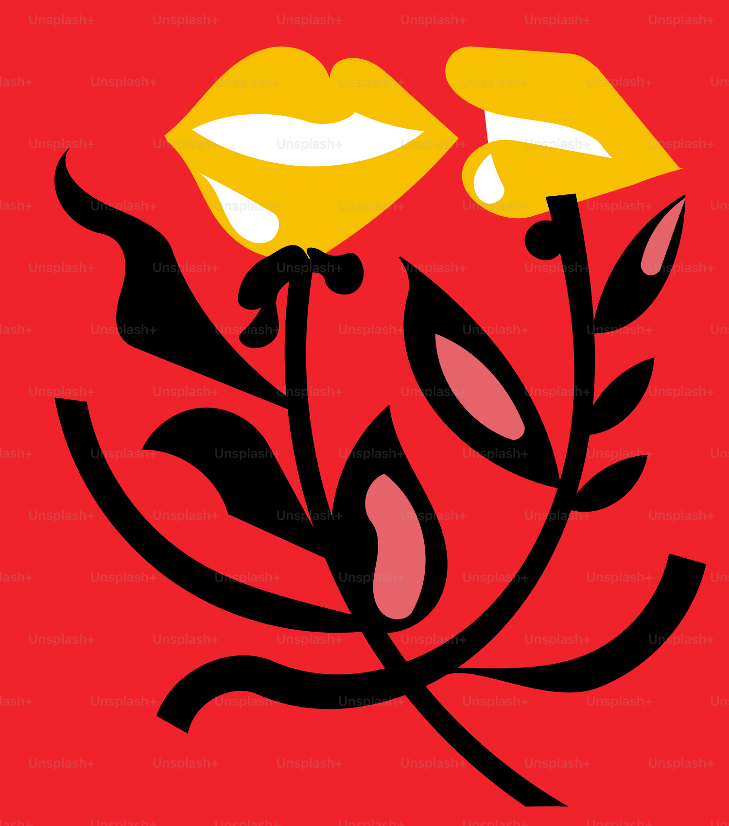 Aimer Photo sur Unsplash