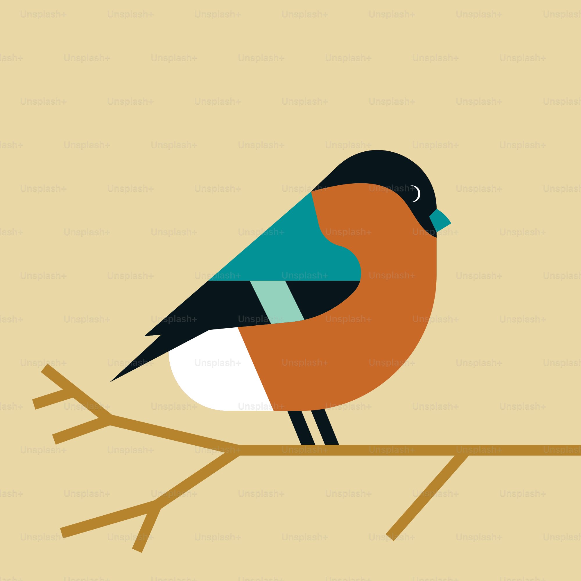 500+ Bird Pictures [HD] | Download Free Images on Unsplash