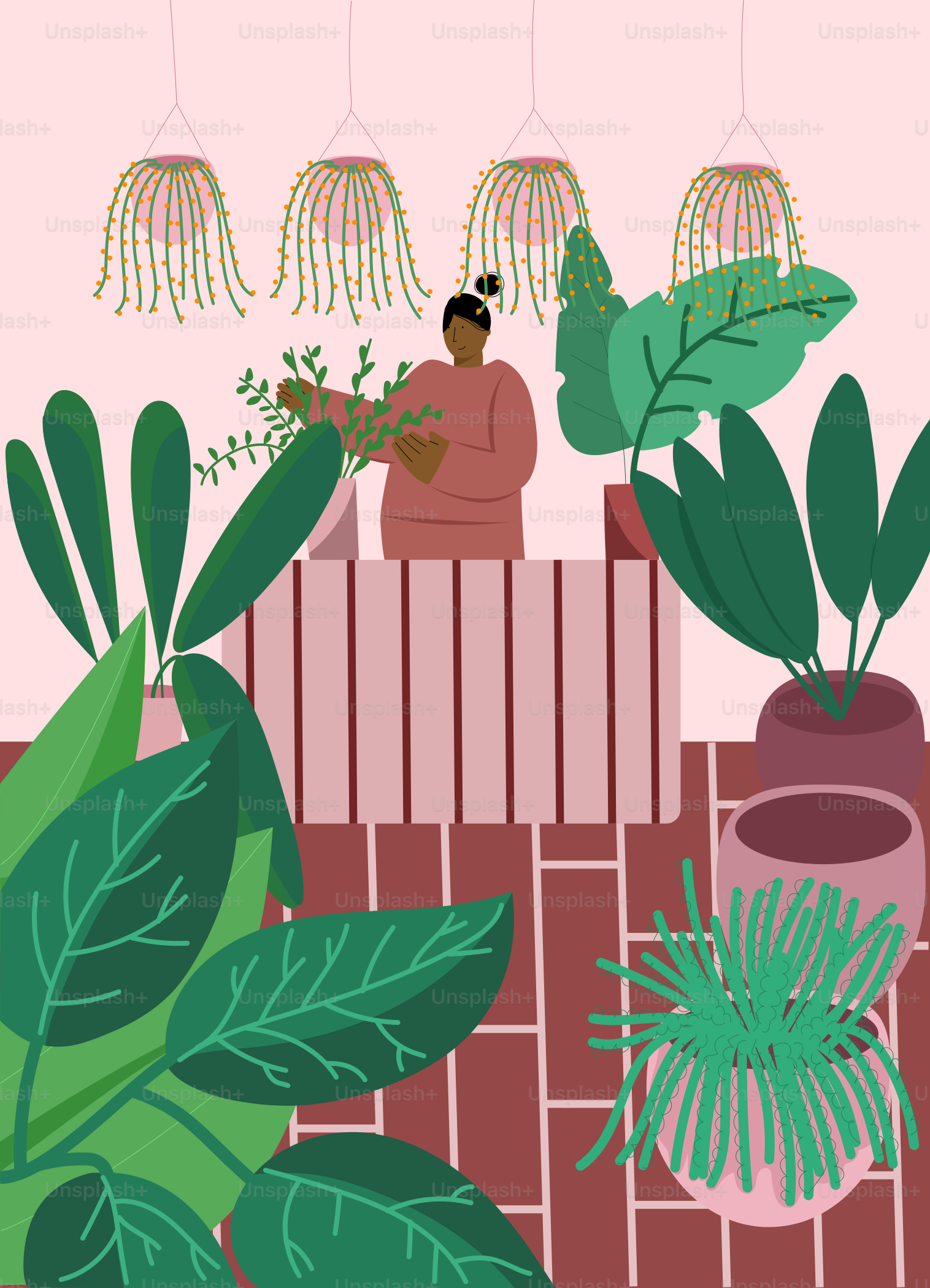 Best 500+ Garden Photos [HD] | Download Free Photos On Unsplash