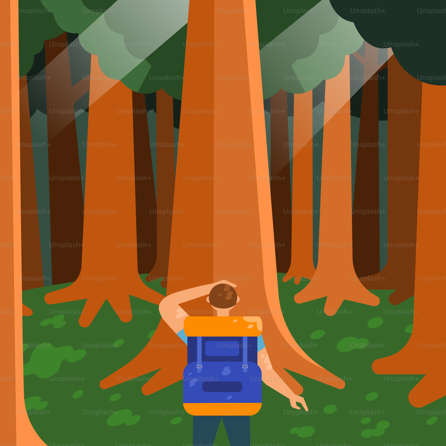 500+ Trees Pictures | Download Free Images on Unsplash