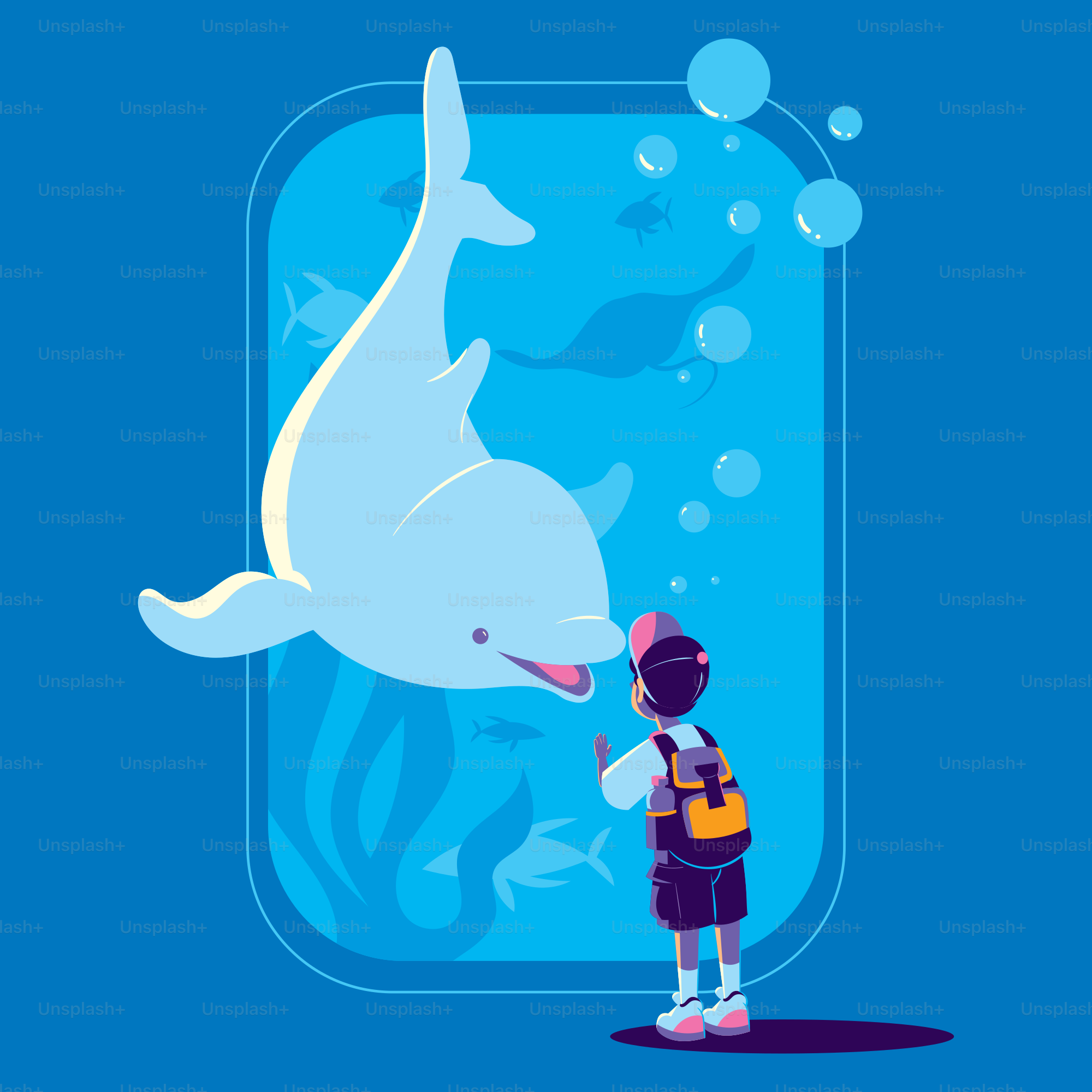 Eine Person, die vor einem Delfin steht Vektor – Bild zum Thema Vektor ...