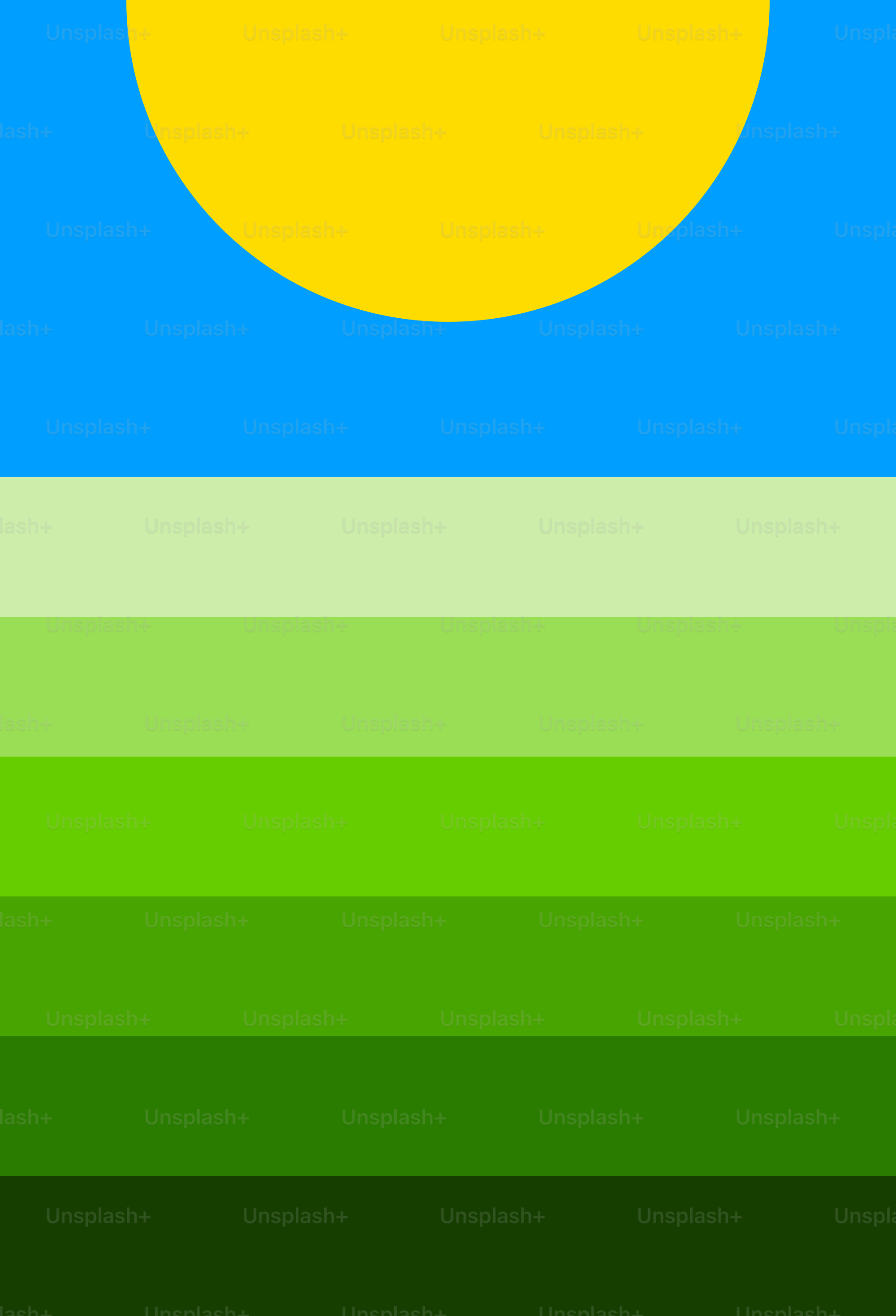 The flag of the republic of the republic of the republic of the ...