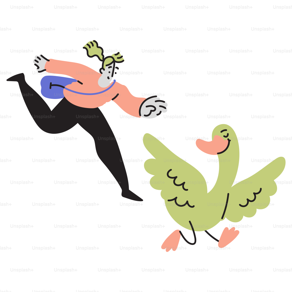 A cartoon of a man chasing a duck vector – Woman Image on Unsplash