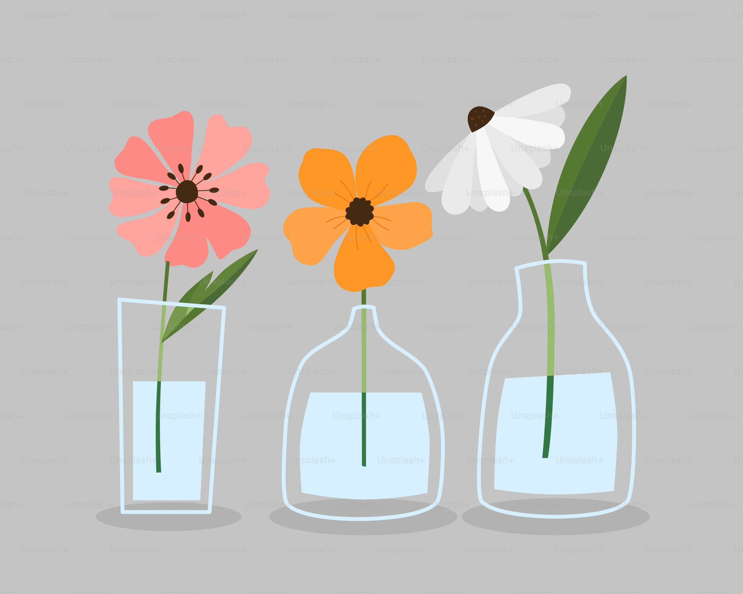 Spring Pictures | Download Free Images & Stock Photos on Unsplash