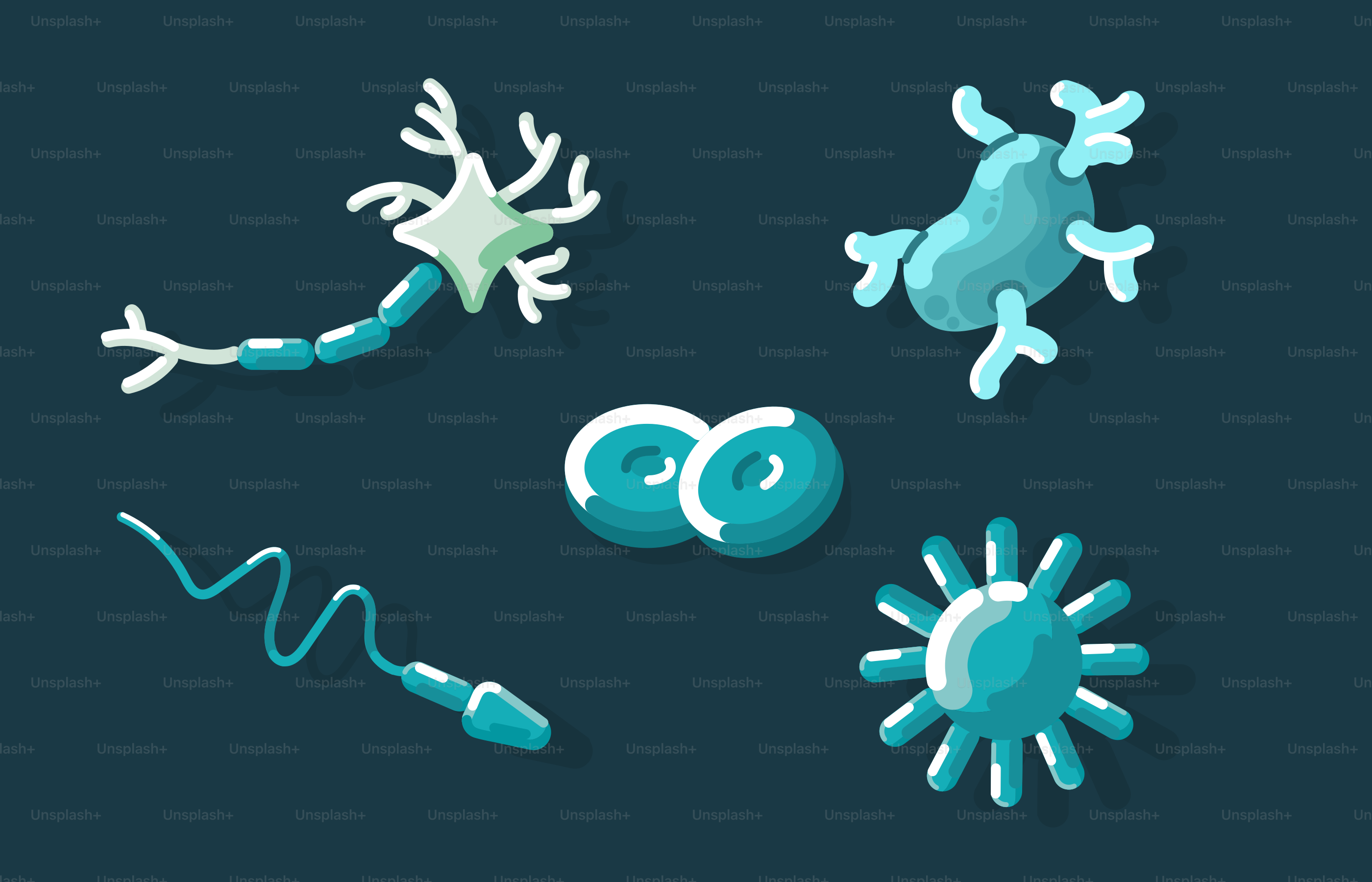 A group of different types of germs on a blue background vector – Red ...