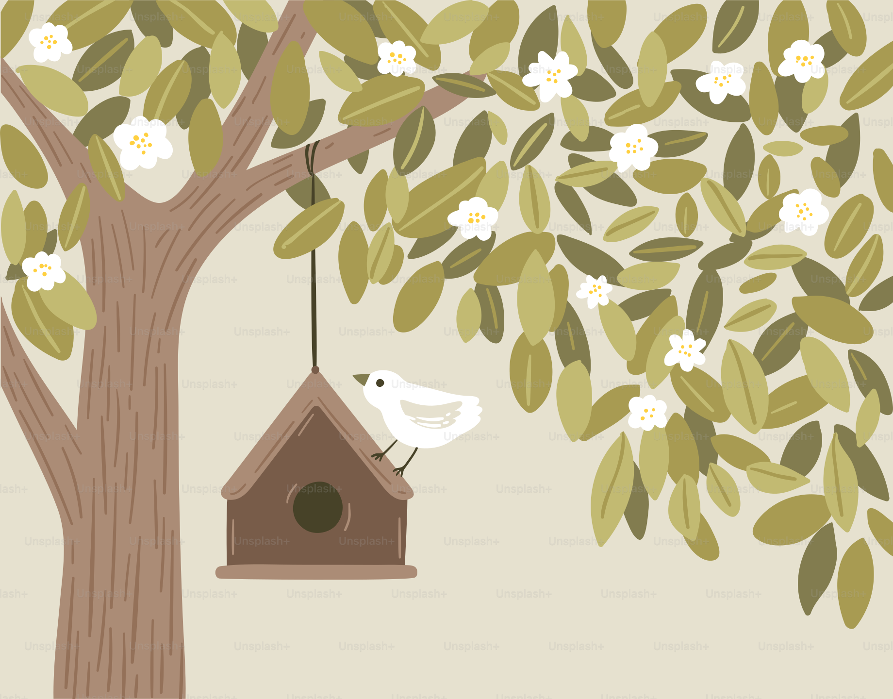 Spring Pictures | Download Free Images & Stock Photos on Unsplash