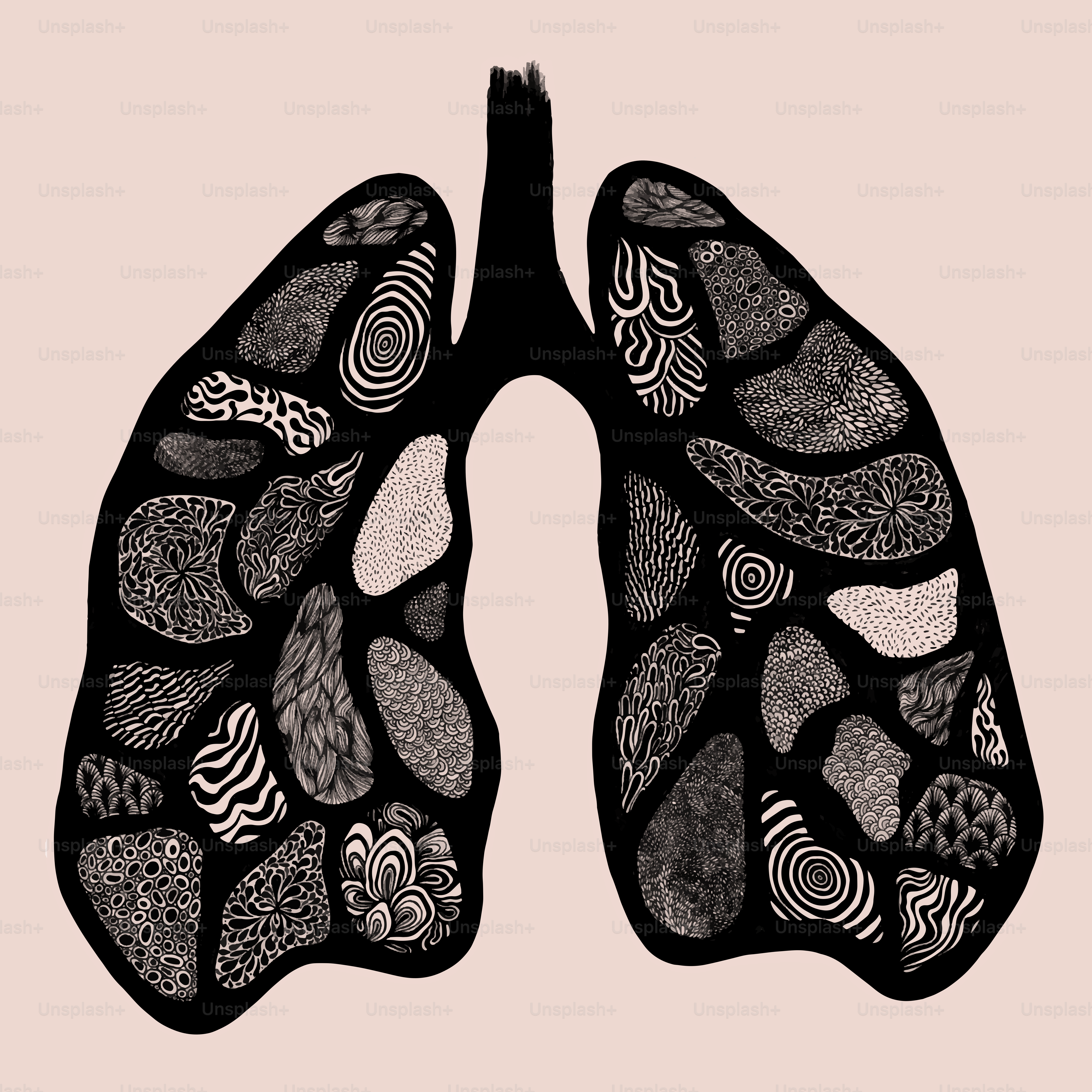 A black and white drawing of a lung vector – Doodle art Image on Unsplash
