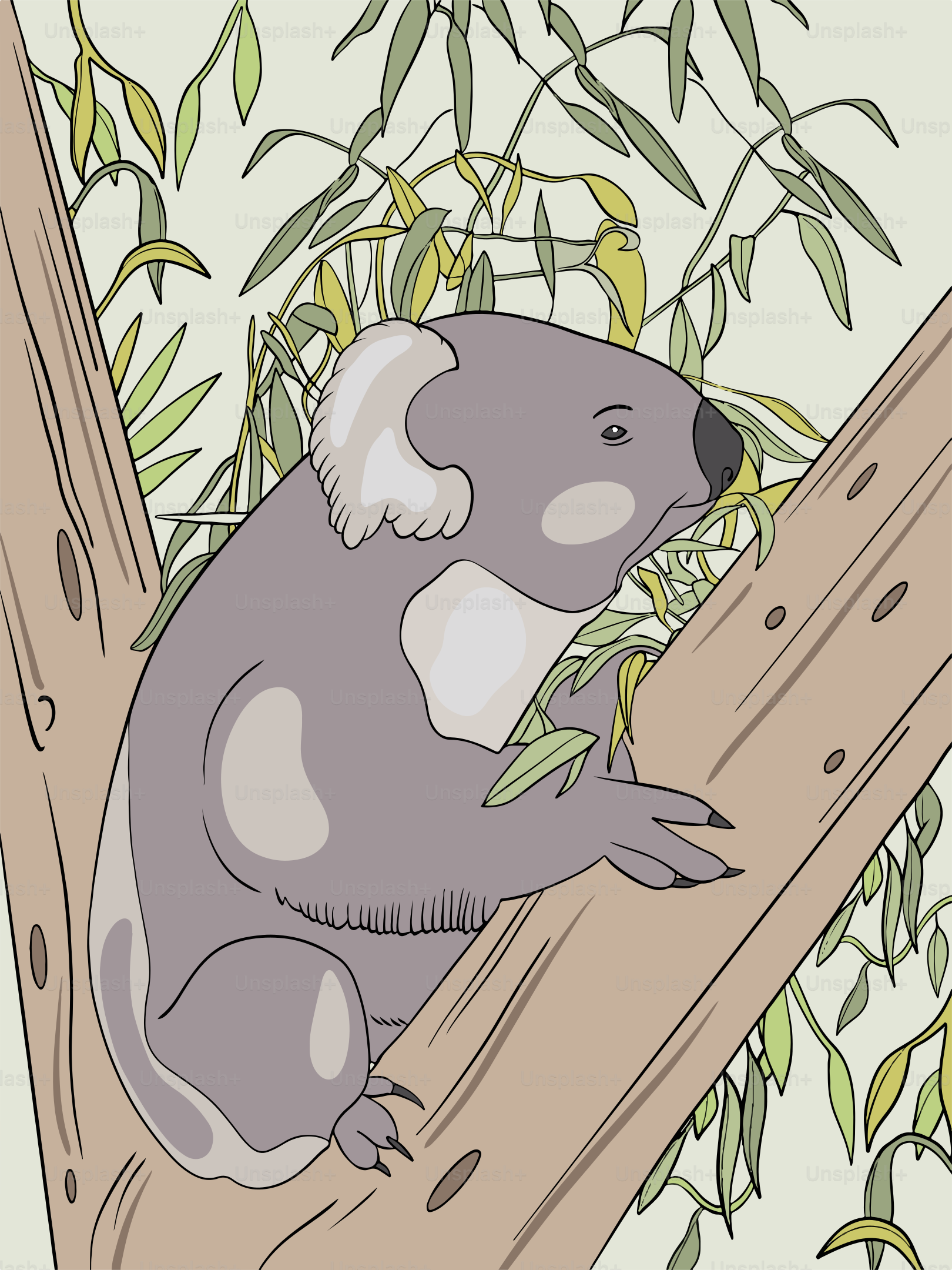 A drawing of a koala sitting on a tree branch vector – Koala Image on ...