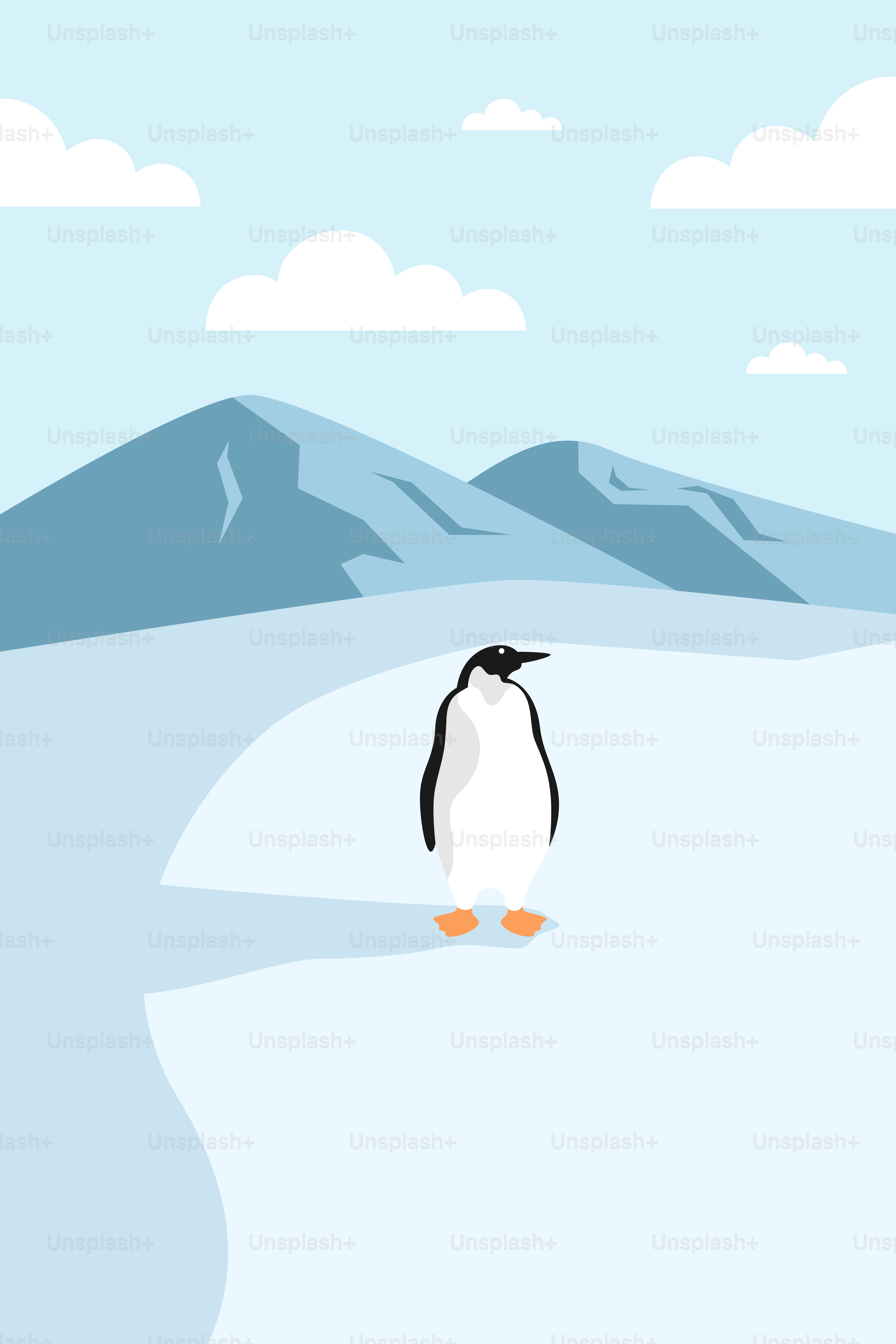 A picture of a polar bear and other animals vector – Animal Image on ...