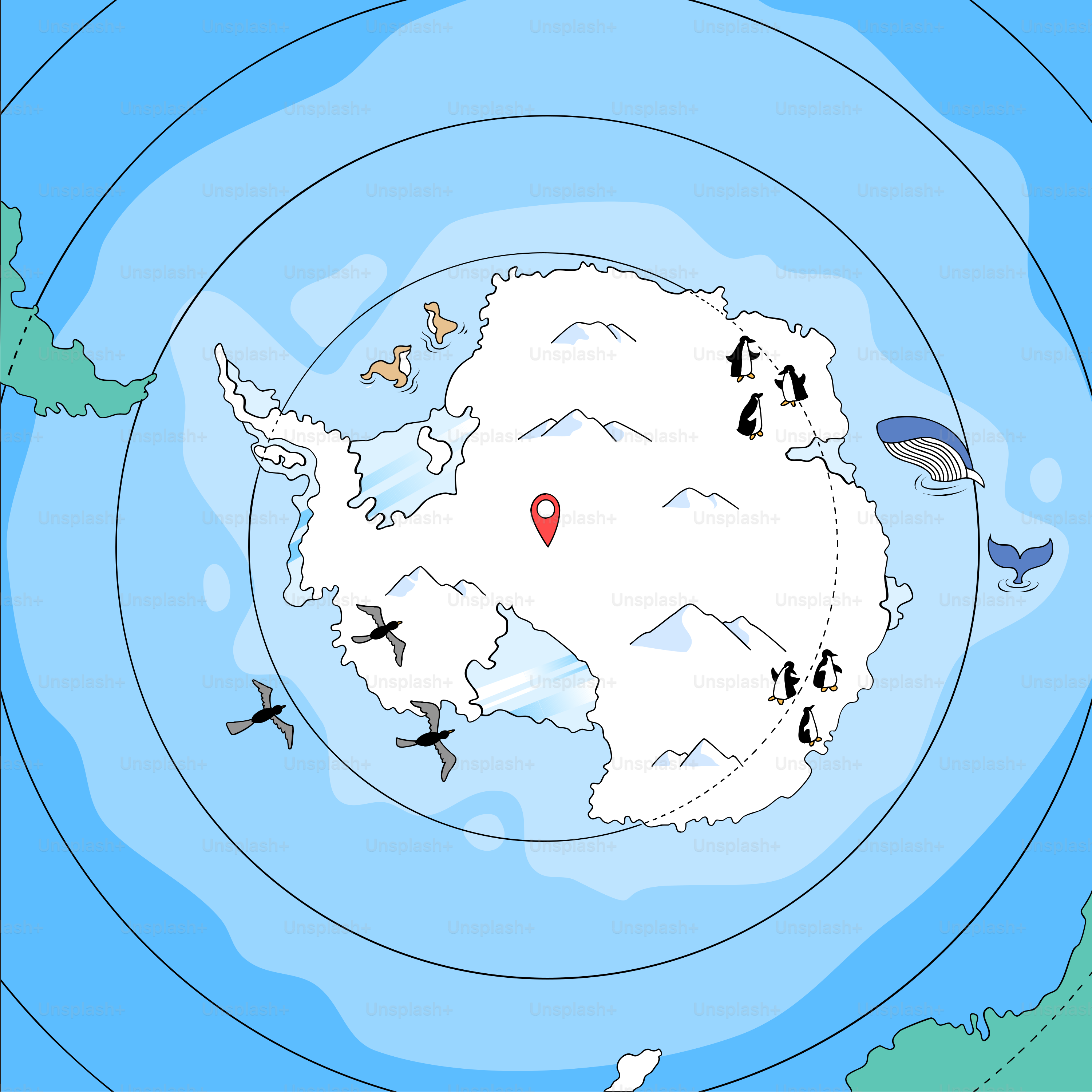A map of the arctic with a red pin in the middle vector – Map Image on ...
