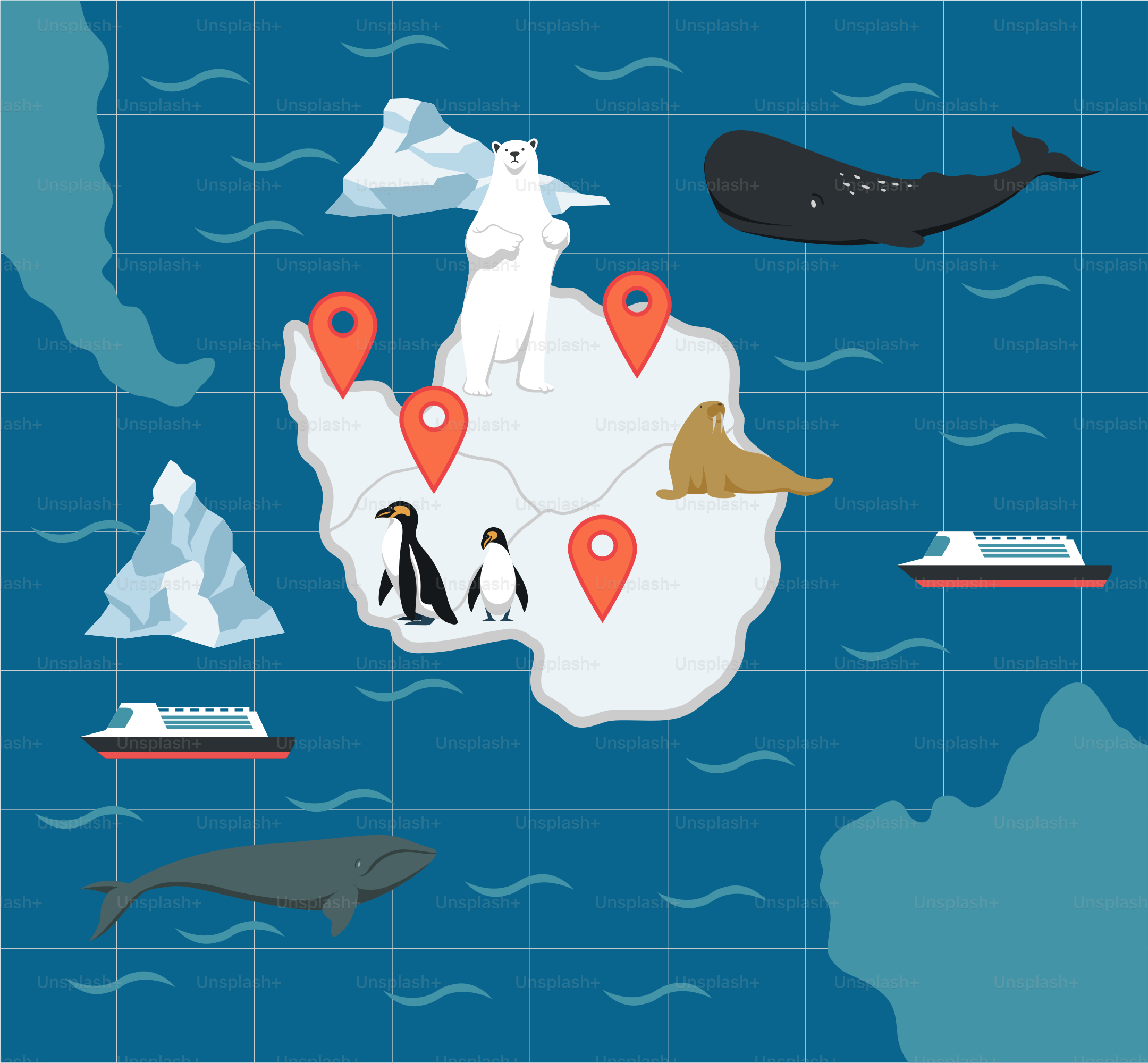 A map with a bunch of animals on it vector – Illustration Image on Unsplash