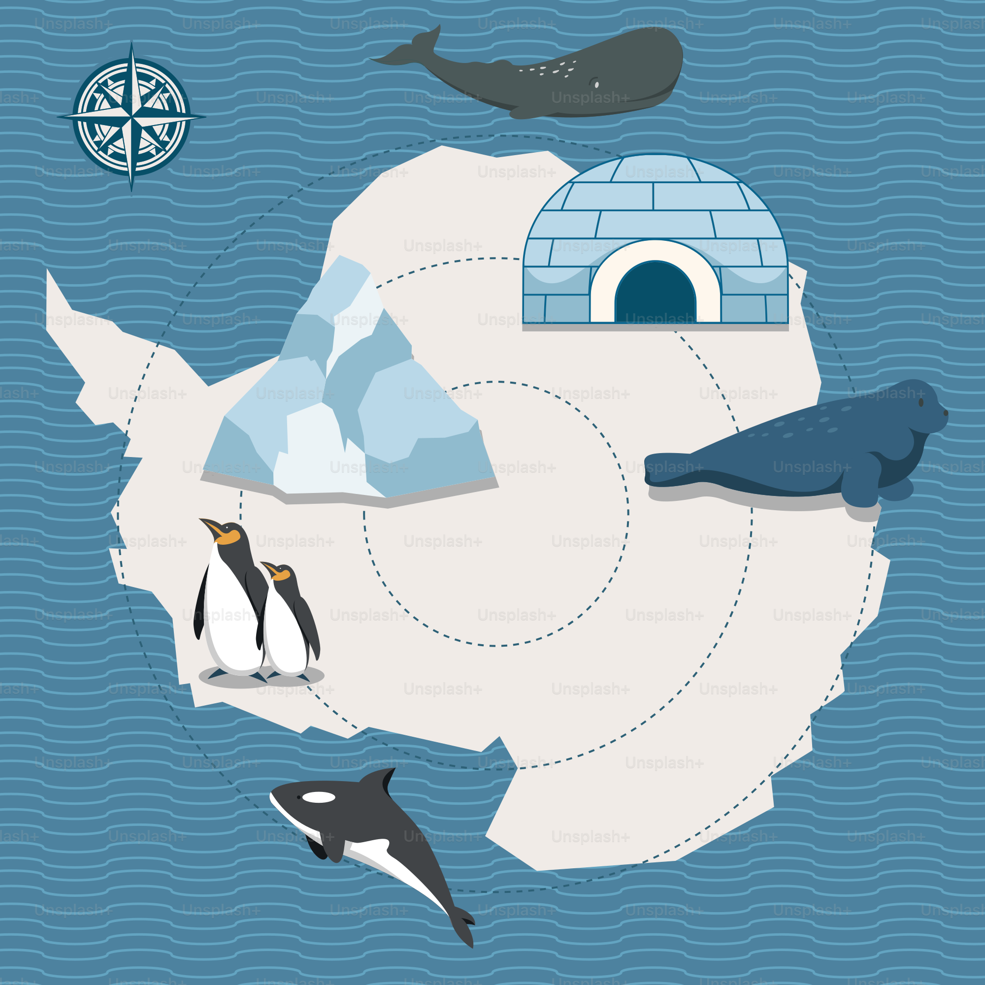 A map of the arctic with penguins and penguins vector – Illustration ...
