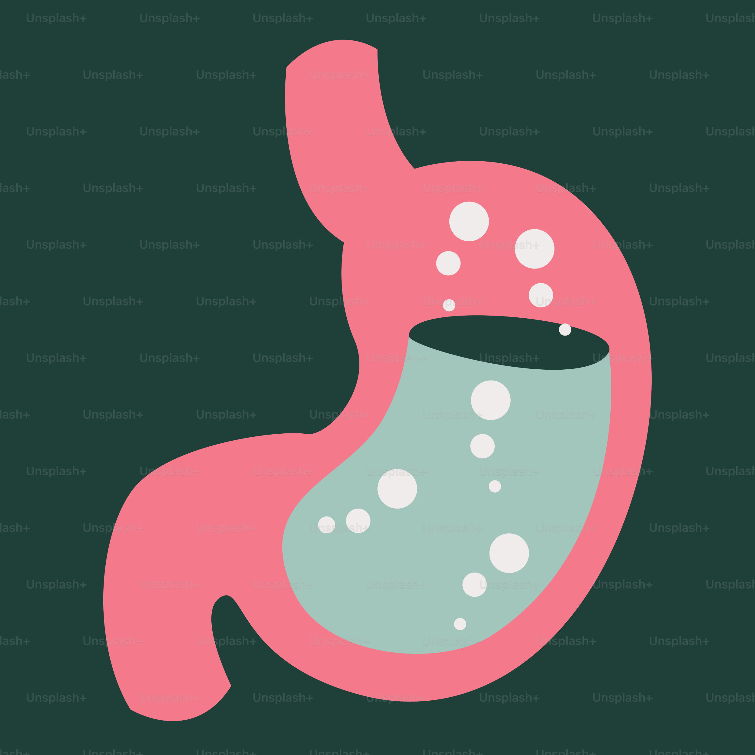 A pink stomach with bubbles coming out of it vector – Education Image ...