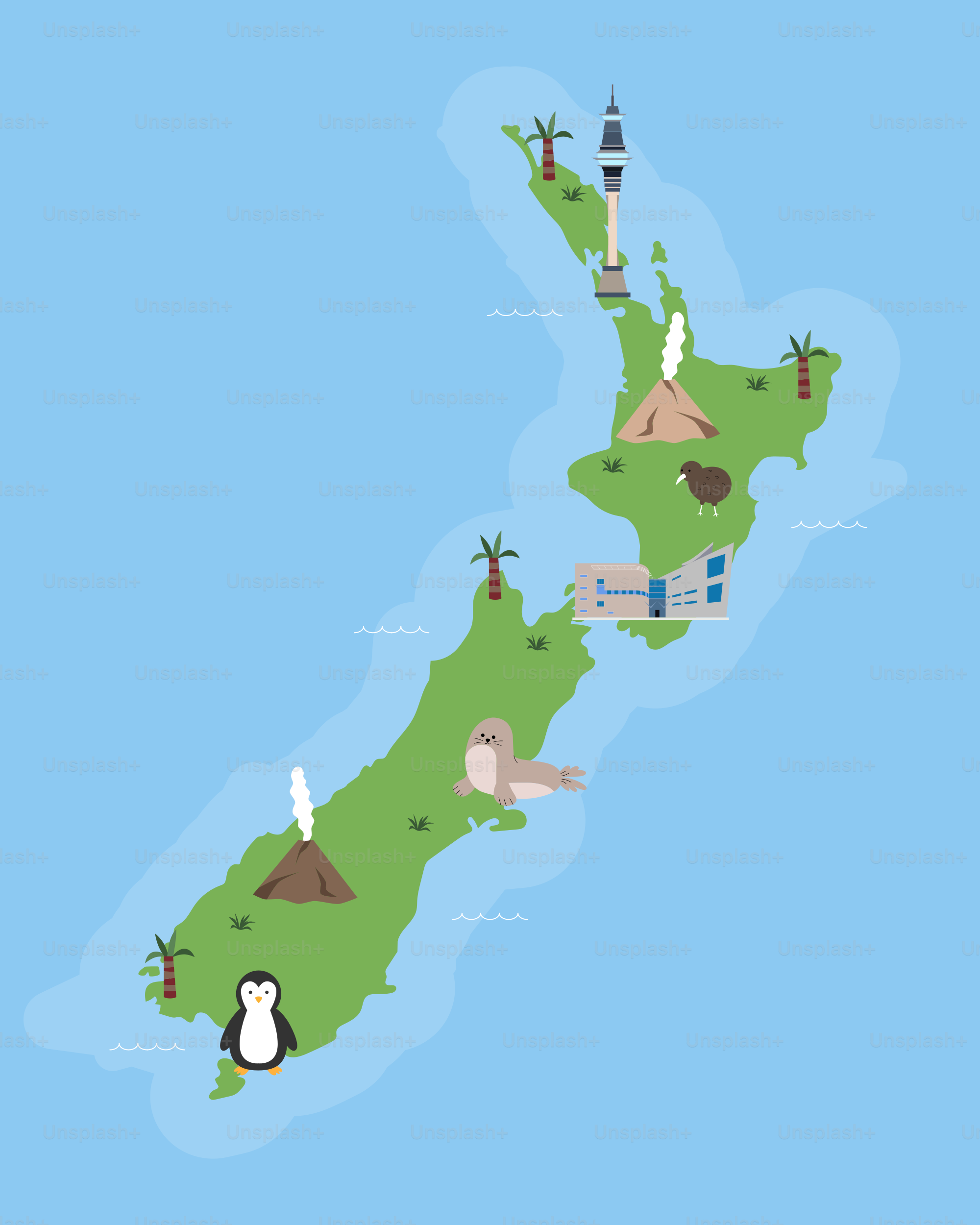 A map of new zealand with penguins and lighthouses vector – Map Image ...