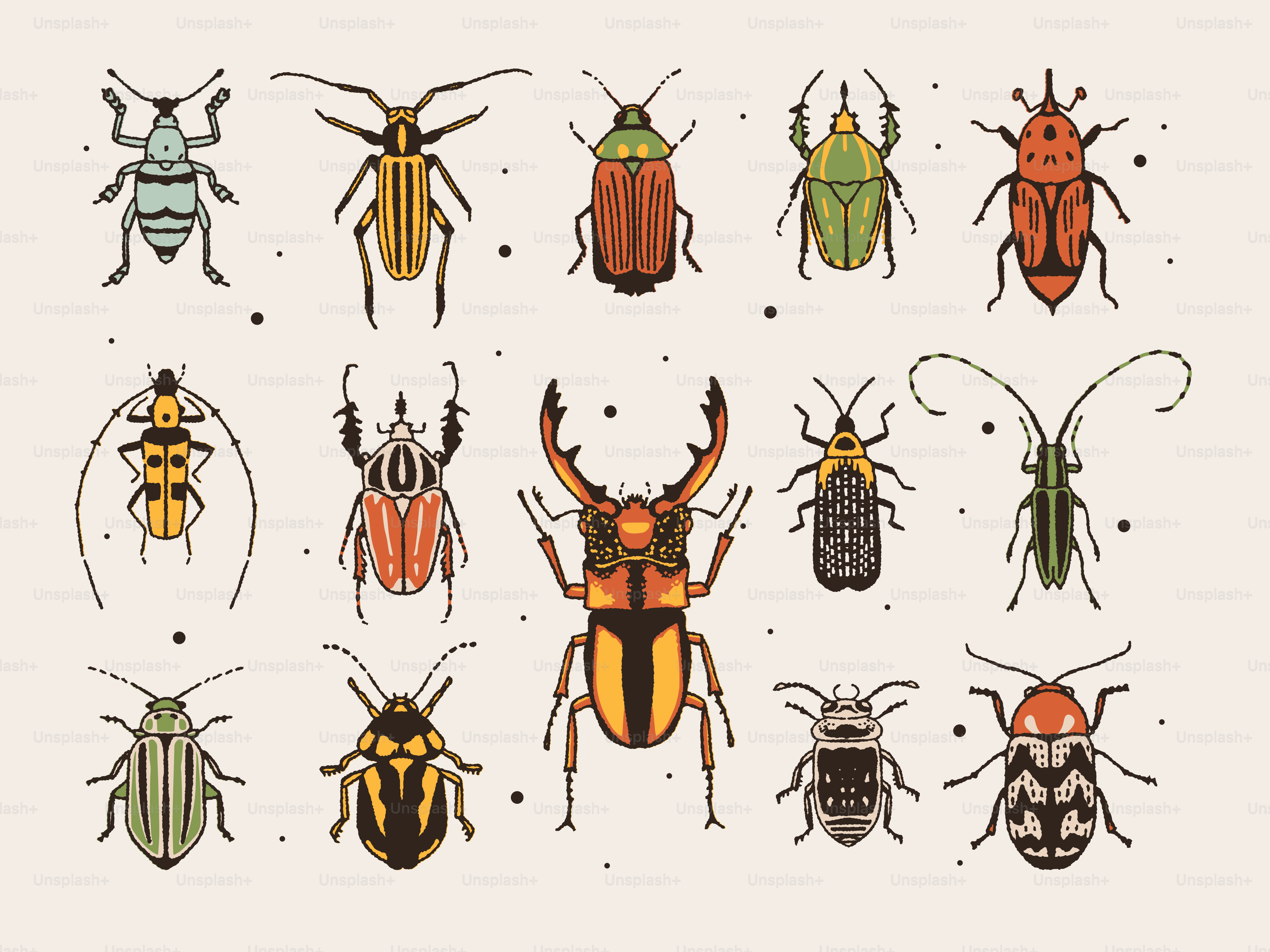 Un grupo de bichos de diferentes colores sobre un fondo blanco vector ...