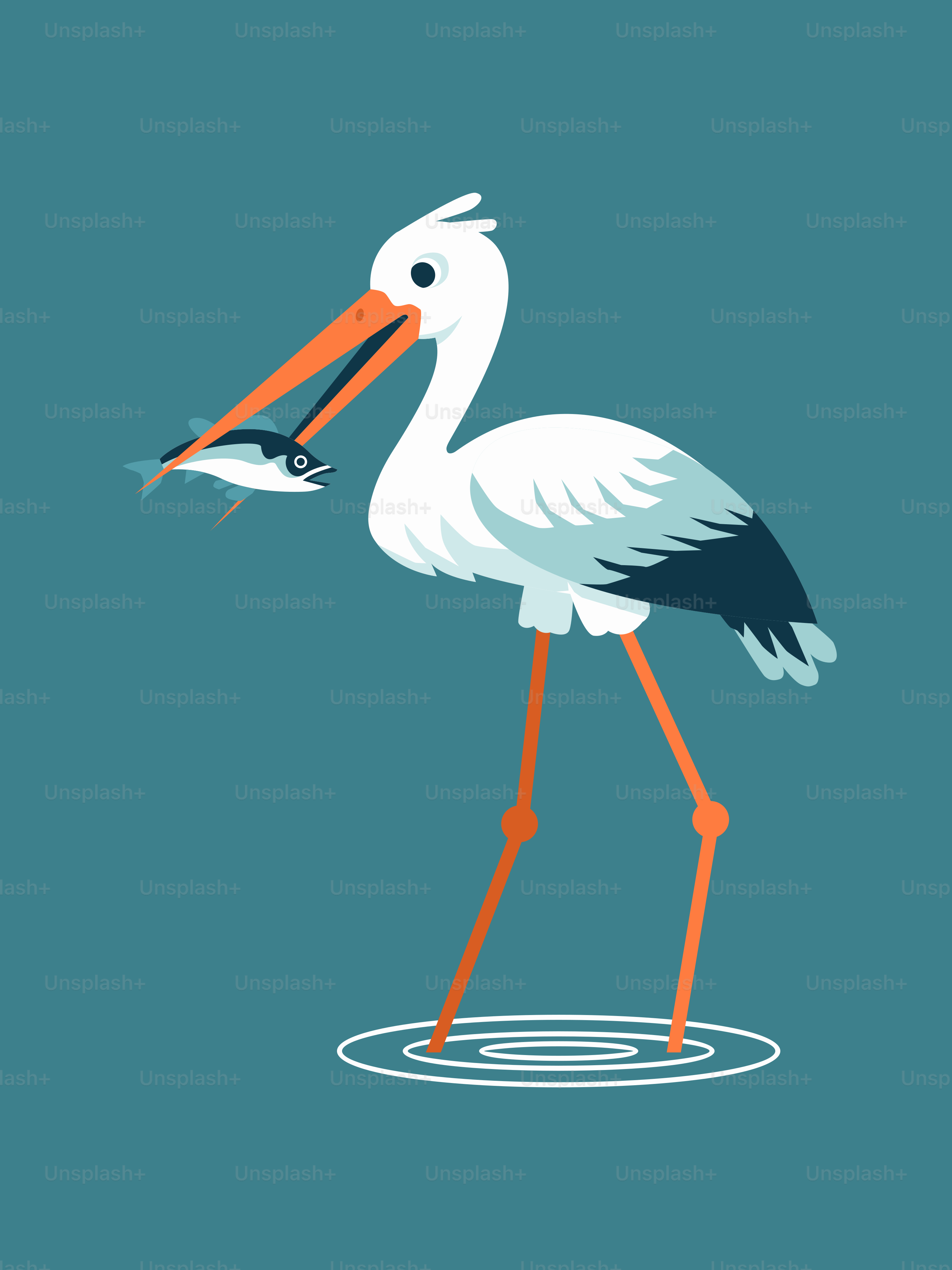 Illustrations & Vectors | Download Free Vector Images