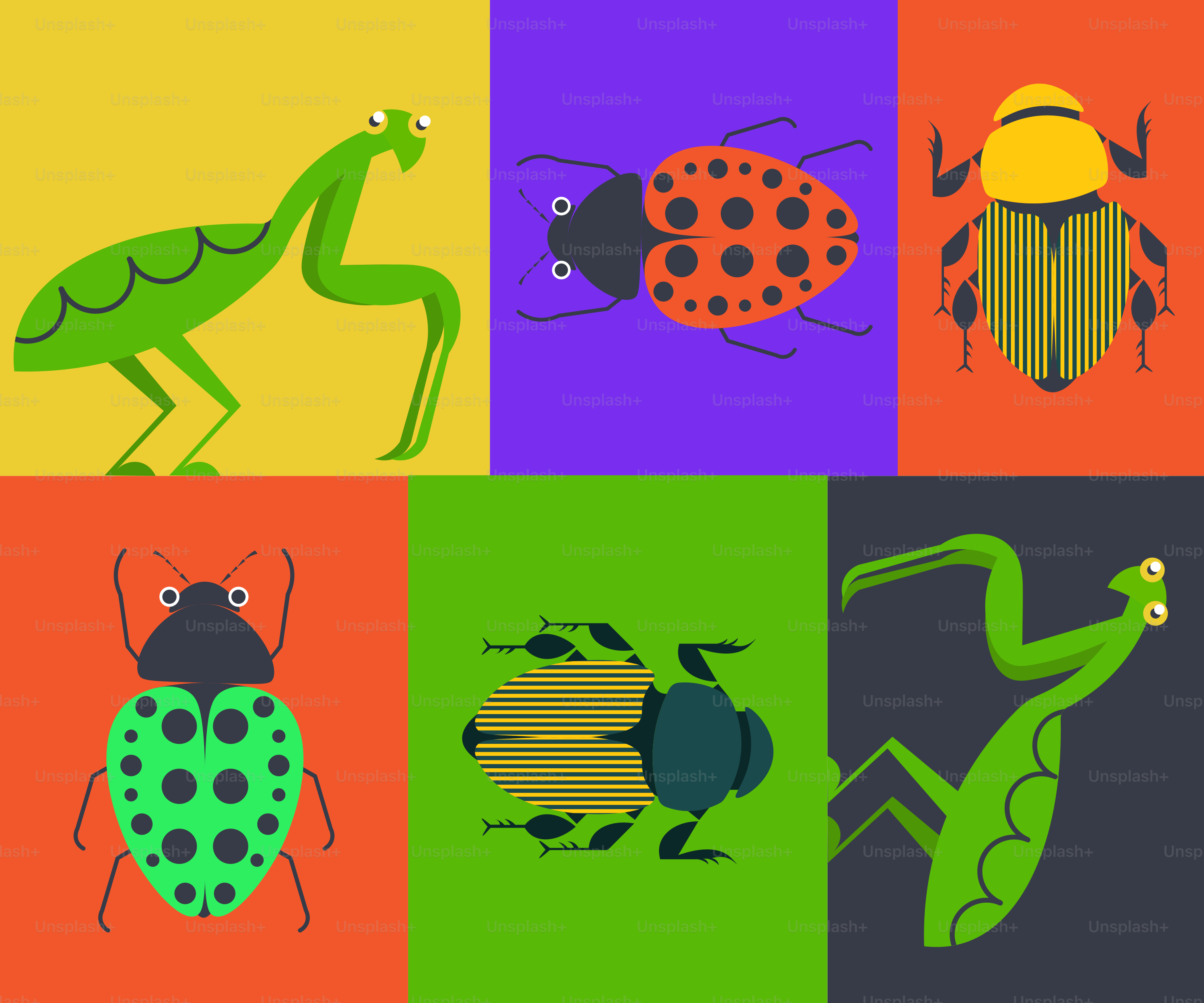 Un grupo de bichos y bichos de diferentes colores vector – Imagen de ...