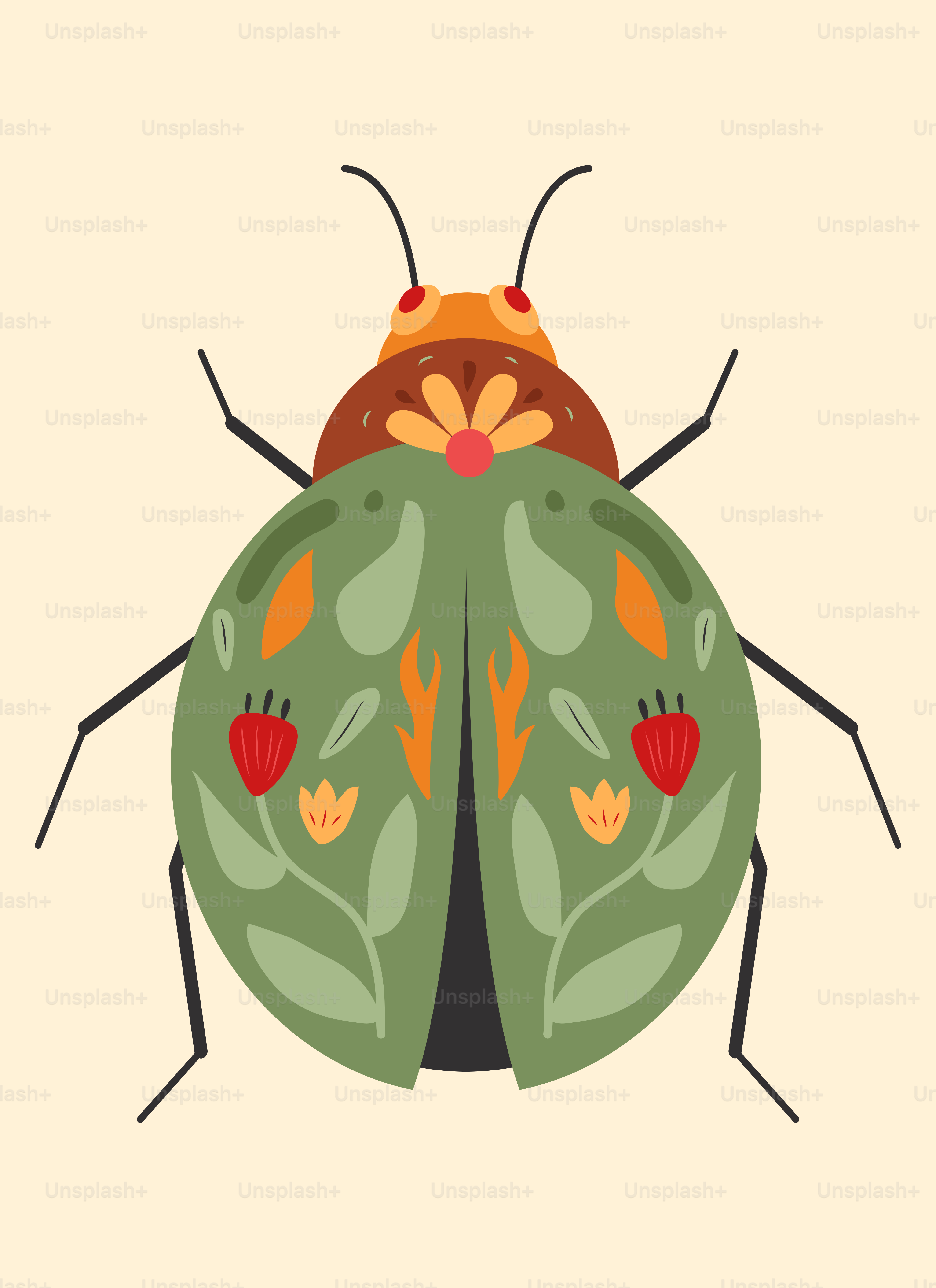 A picture of a bunch of butterflies on a white background vector ...