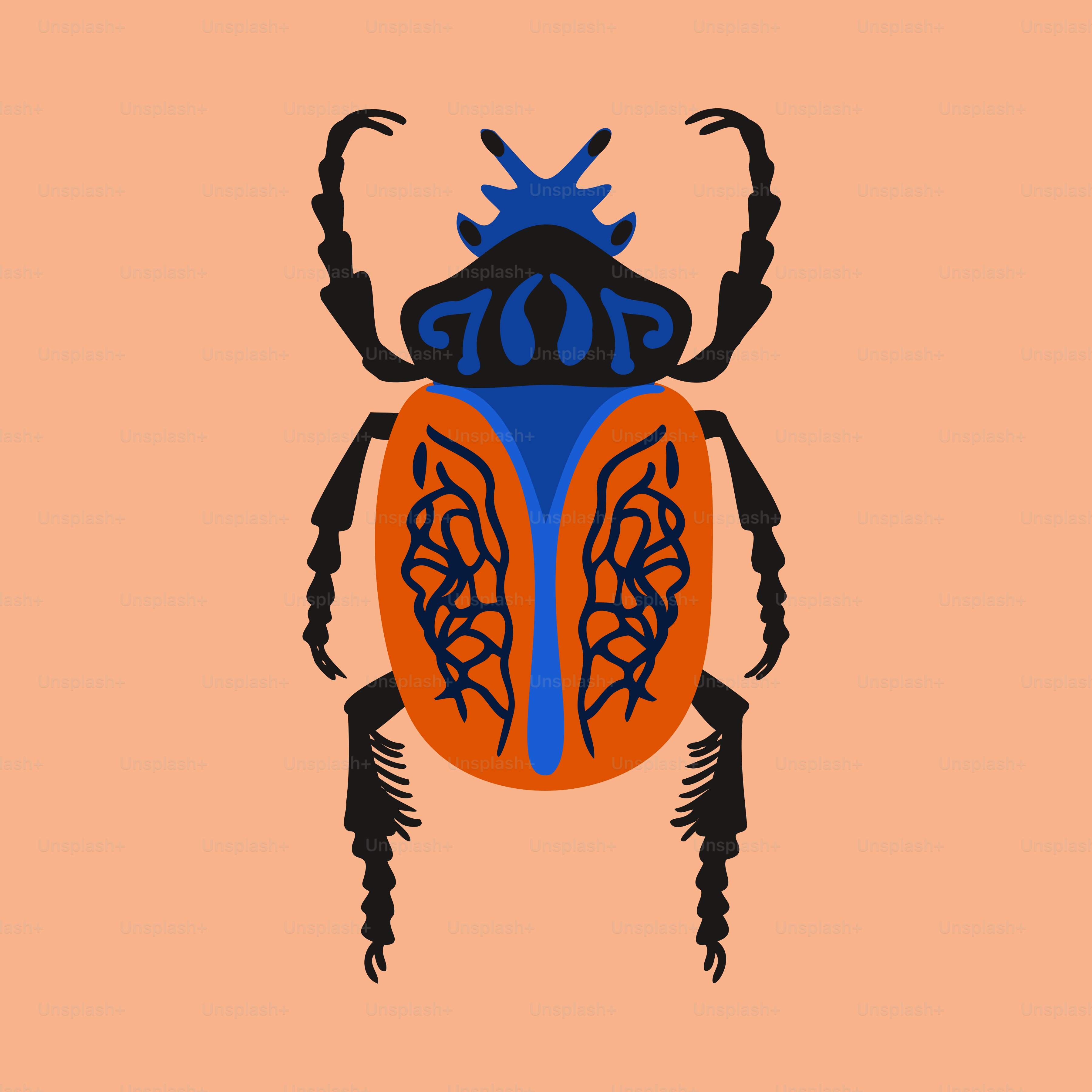 A blue and orange bug on an orange background vector – Beetle Image on ...