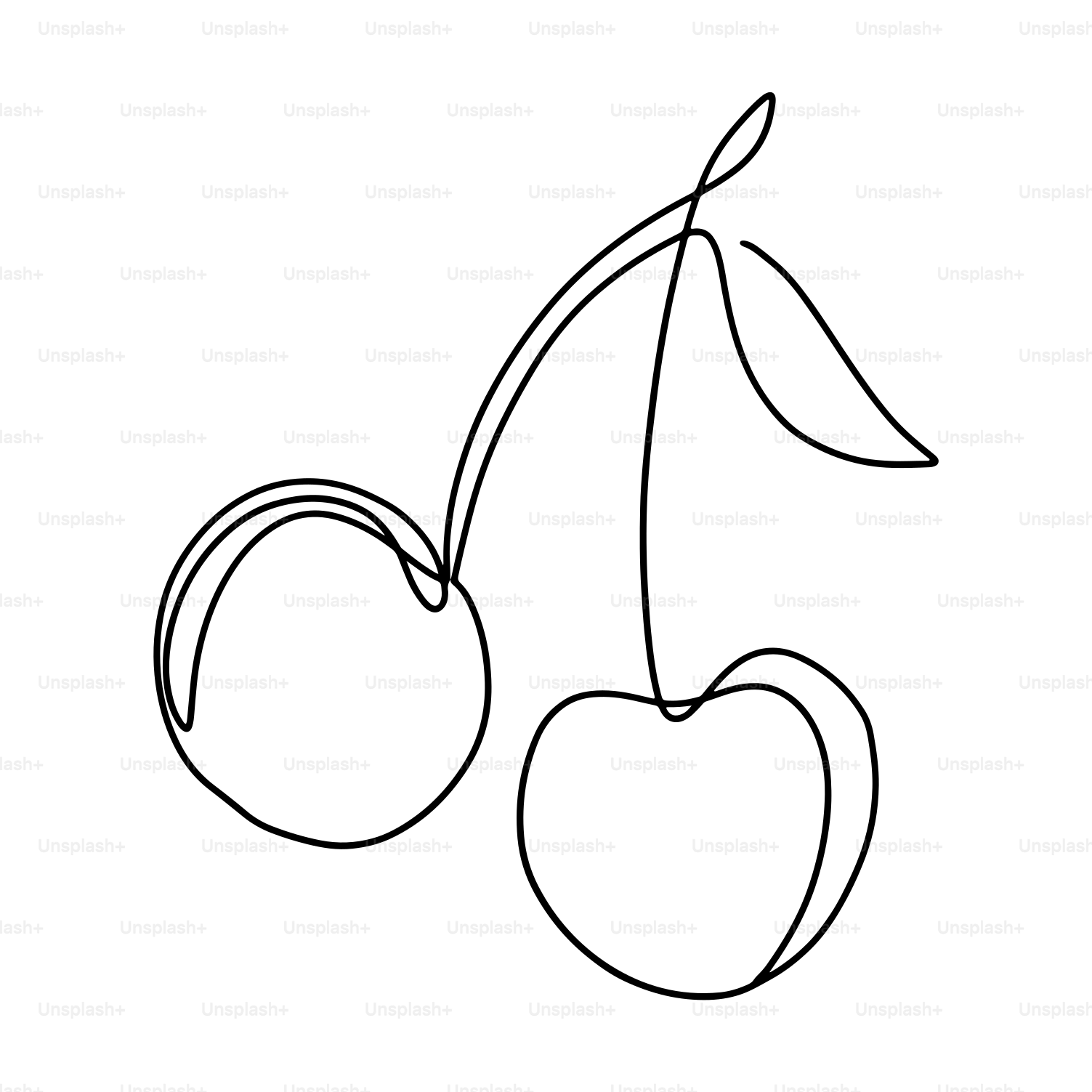 A line drawing of two cherries on a white background vector – Cherry ...