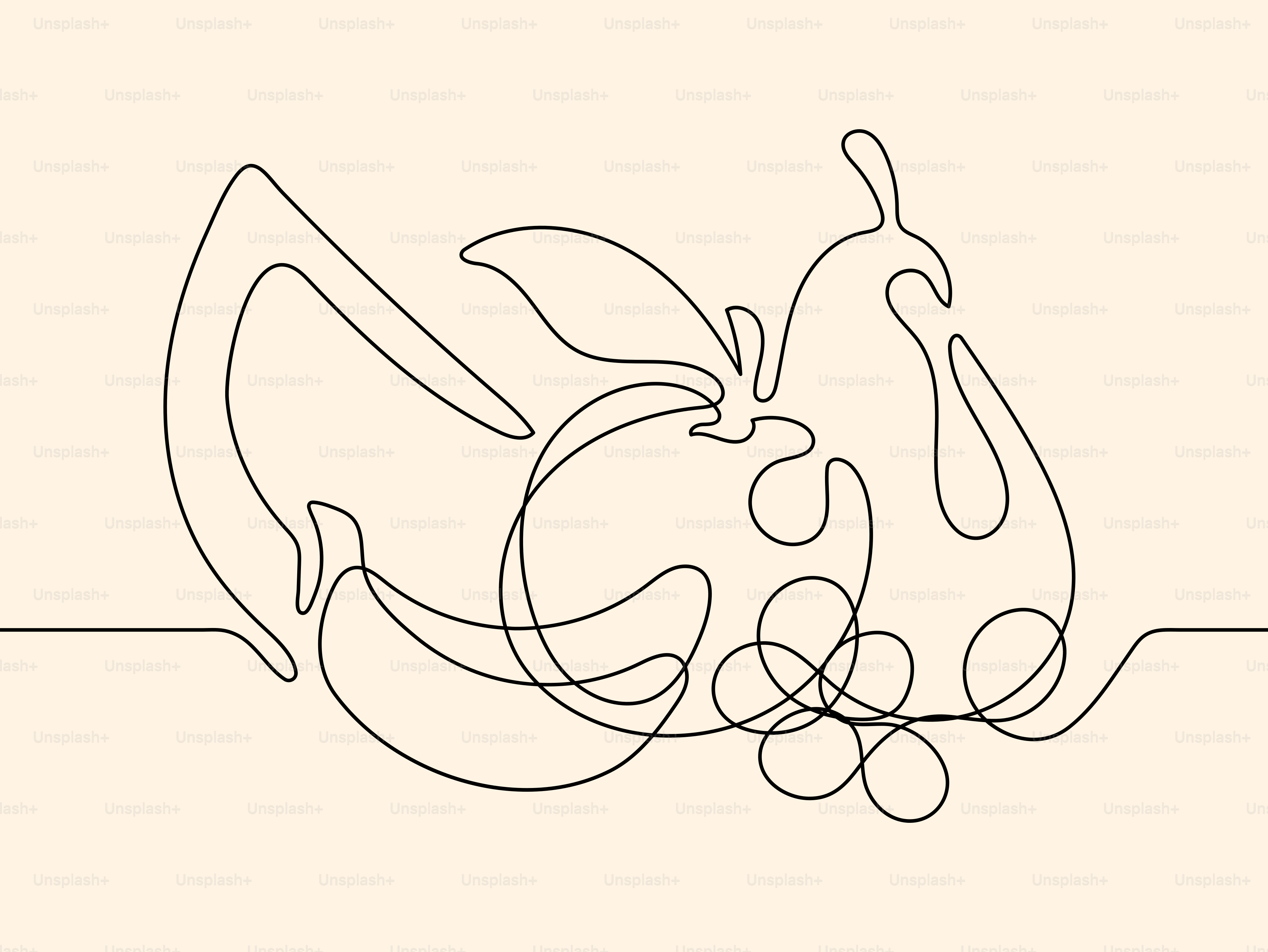 Vektor Gambar garis bunga dengan latar belakang putih – Gambar Bunga di ...