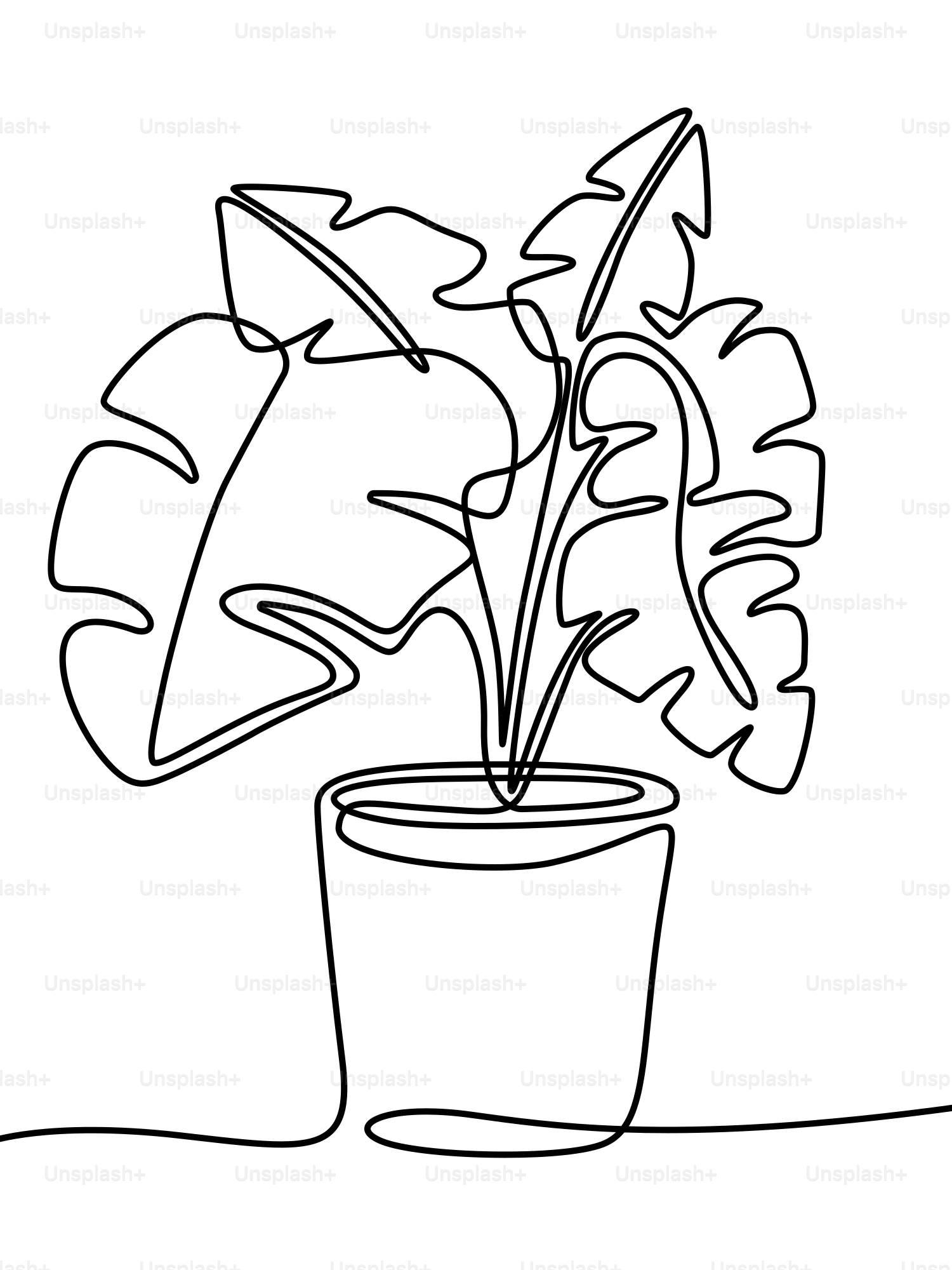 A line drawing of a plant in a pot vector – Illustration Image on Unsplash