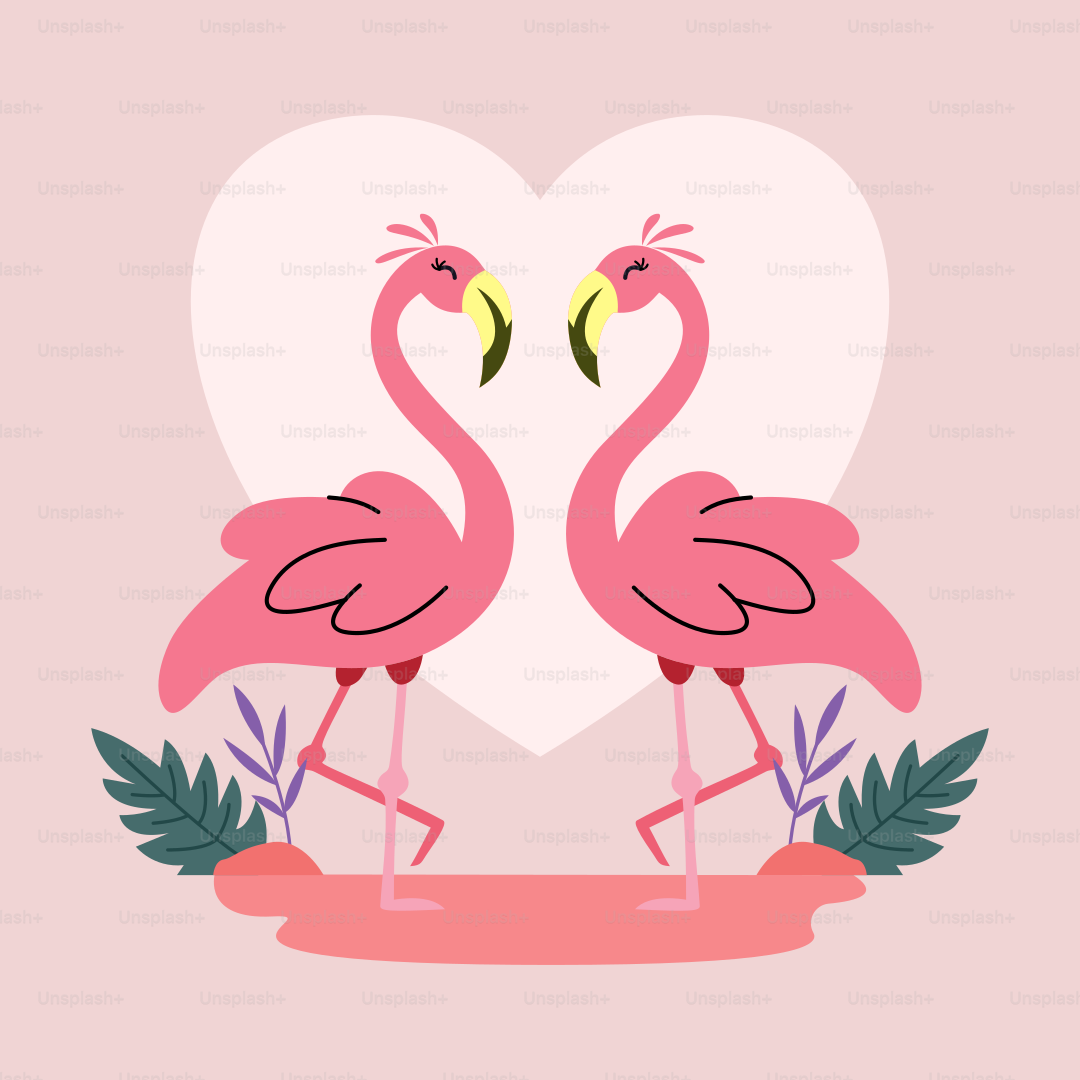 A couple of pink flamingos standing next to each other vector ...