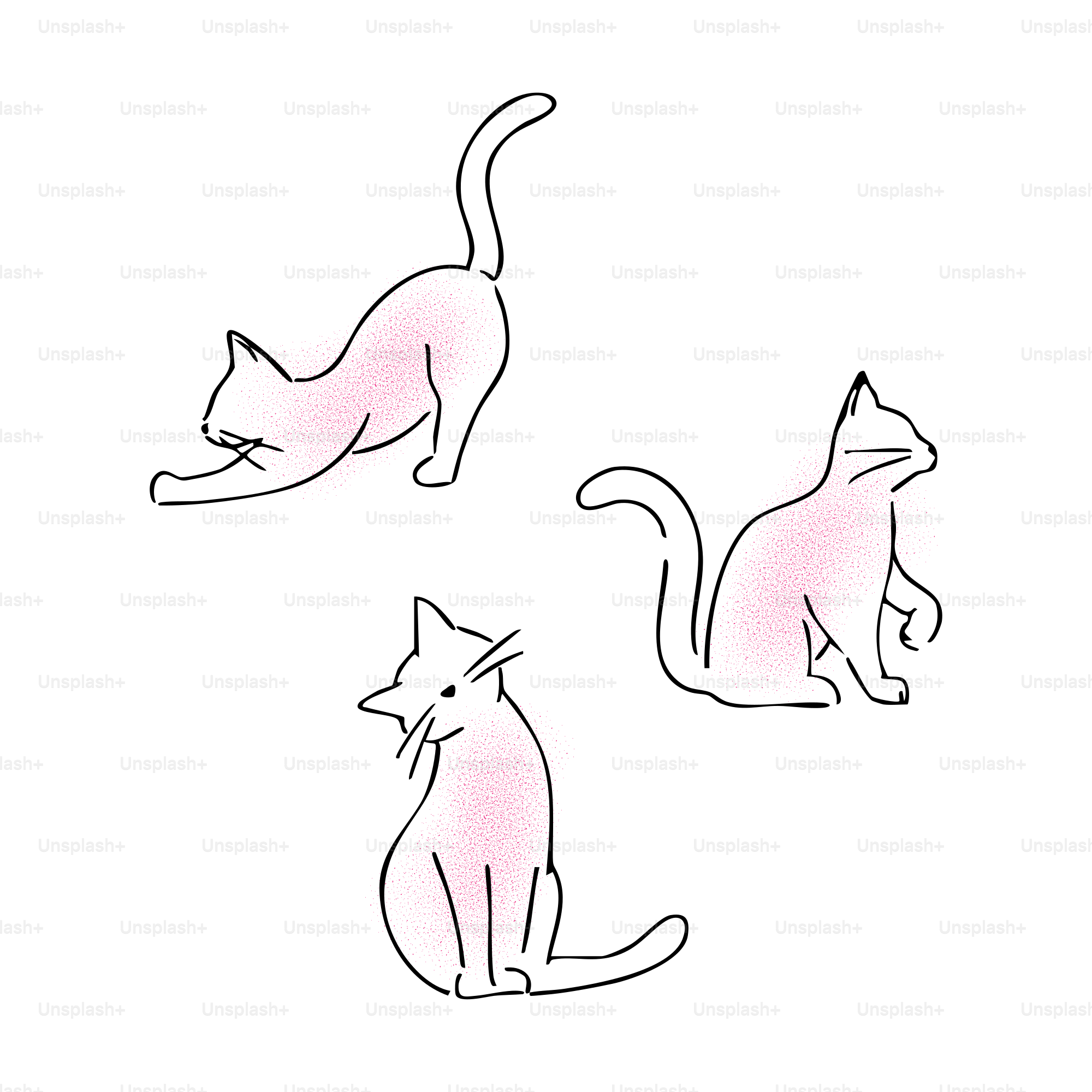 A drawing of three cats sitting next to each other vector ...