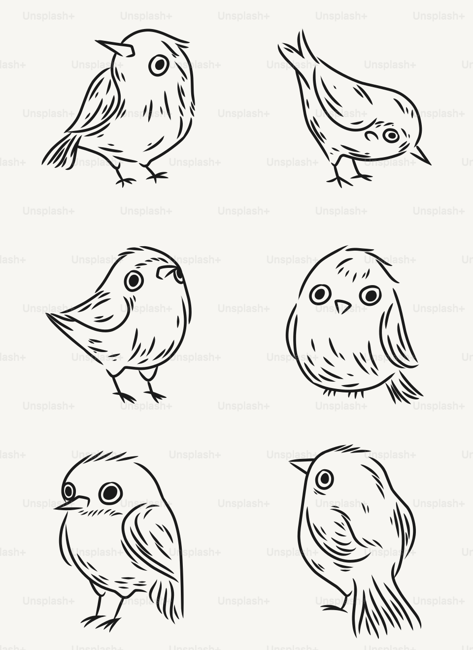 Un conjunto de seis pájaros dibujados en tinta negra vector – Imagen de ...