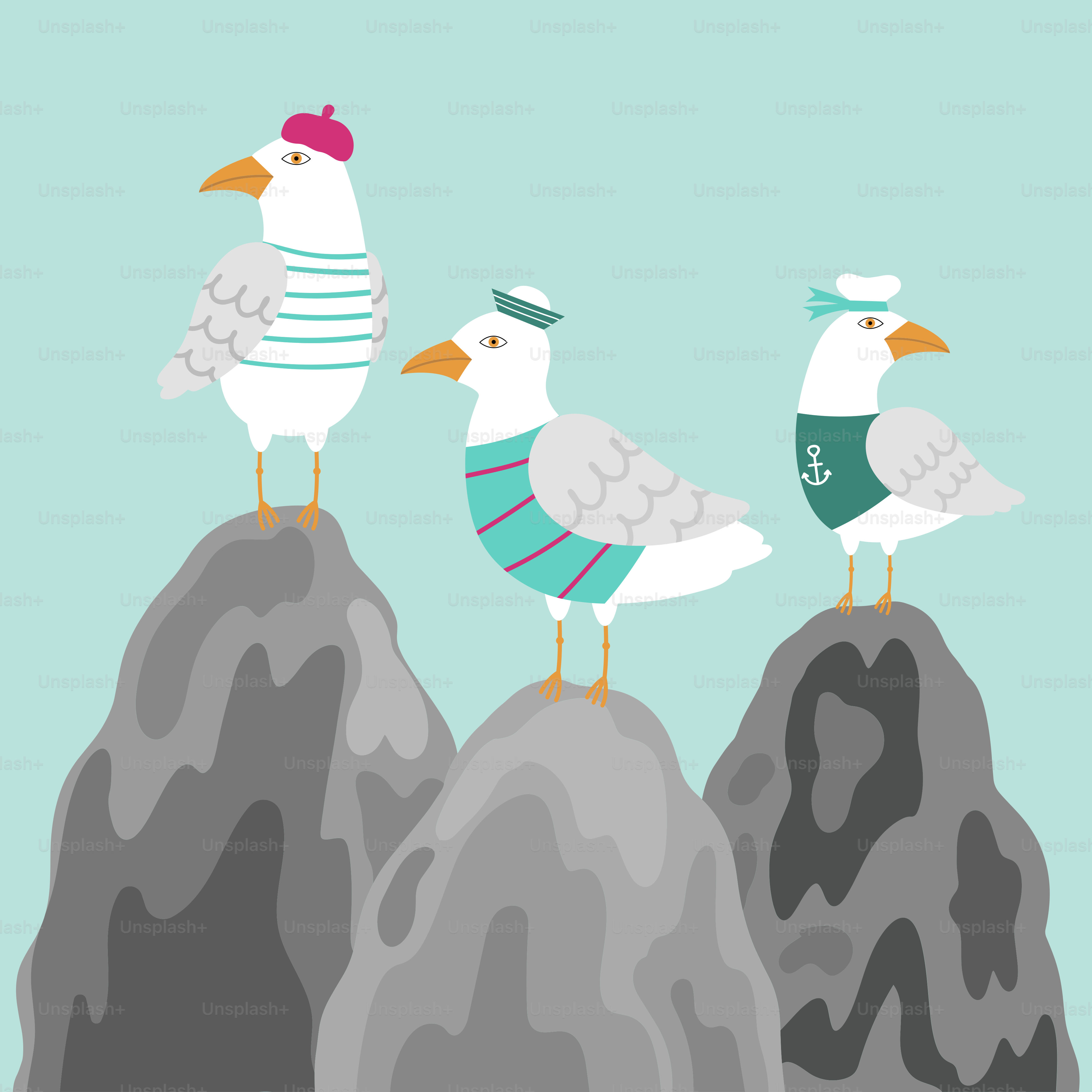 Three seagulls sitting on top of a rock vector – Vector Image on Unsplash