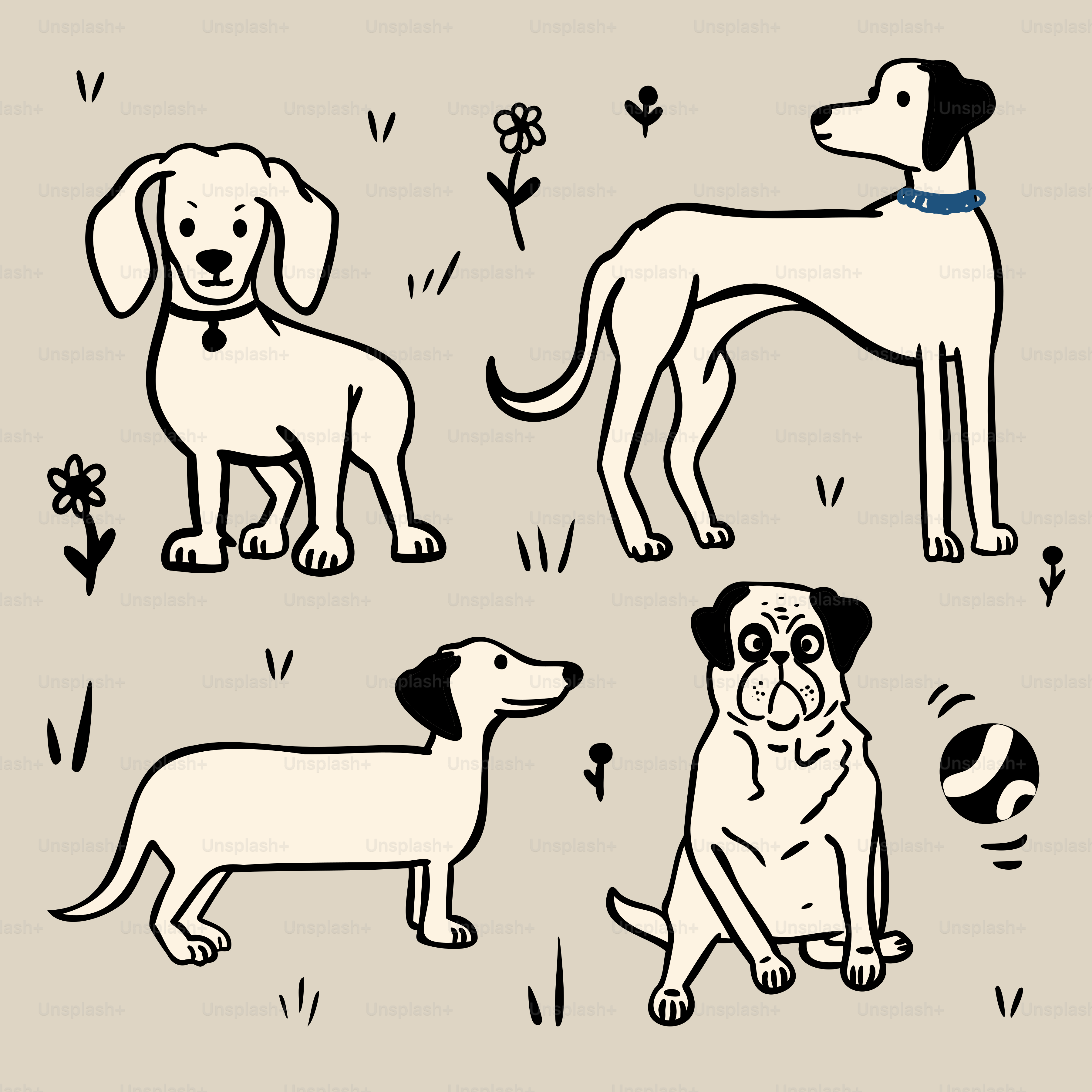 A drawing of four dogs sitting in a field vector – Dogs Image on Unsplash