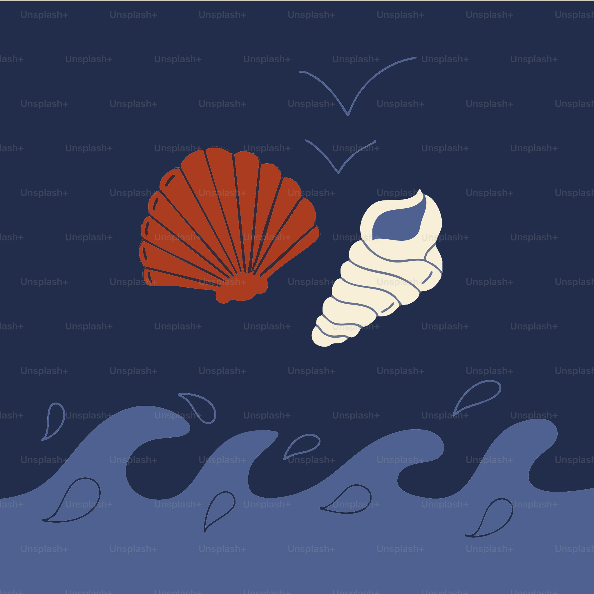 A picture of a shell and a seashell vector – Sea Image on Unsplash