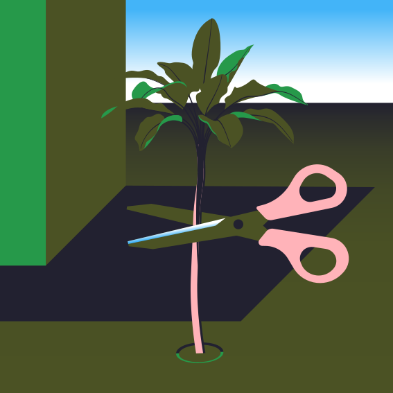 A pink pair of scissors sitting next to a palm tree vector – Plant ...