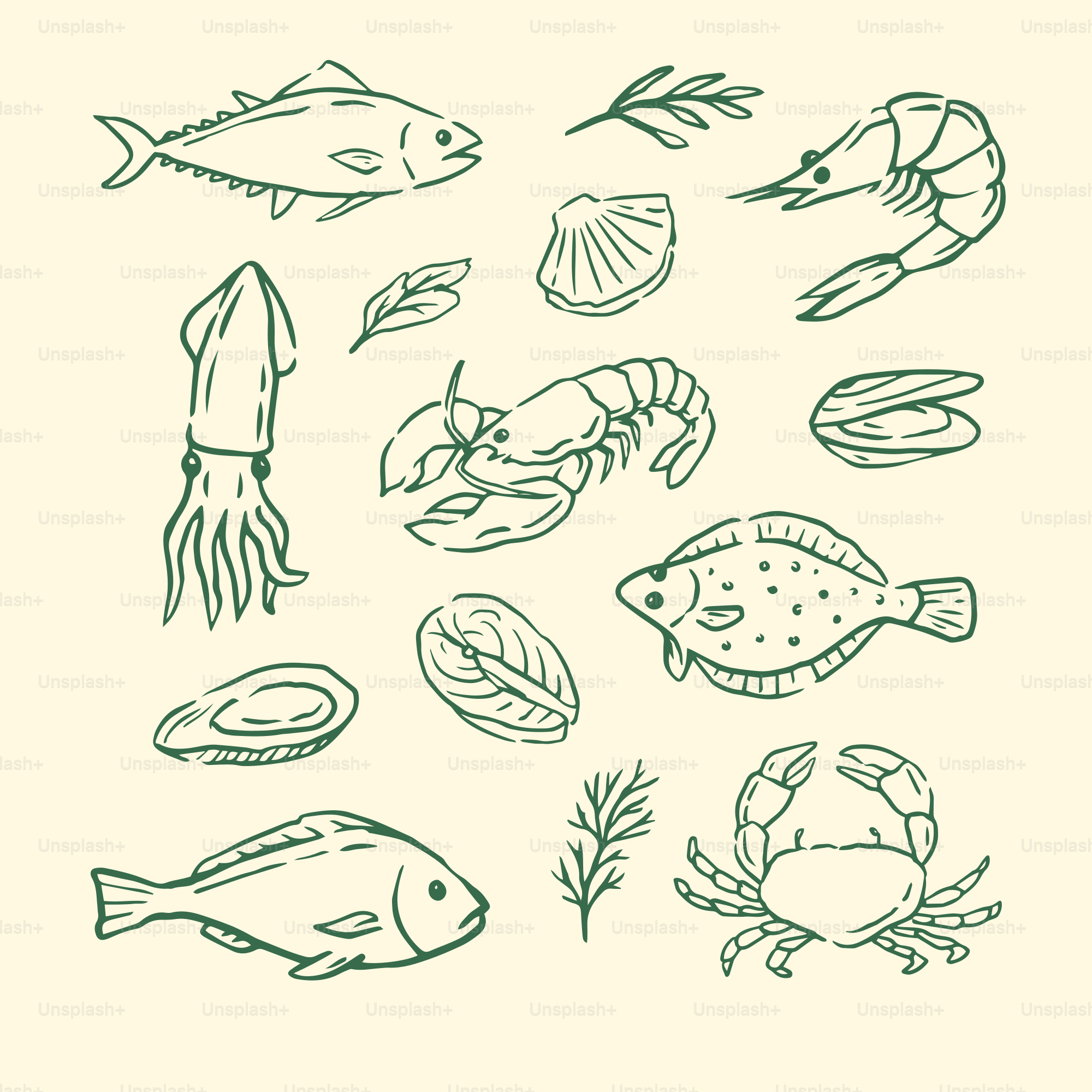 Vektor Berbagai jenis makanan laut ditampilkan pada gambar. – Gambar ...