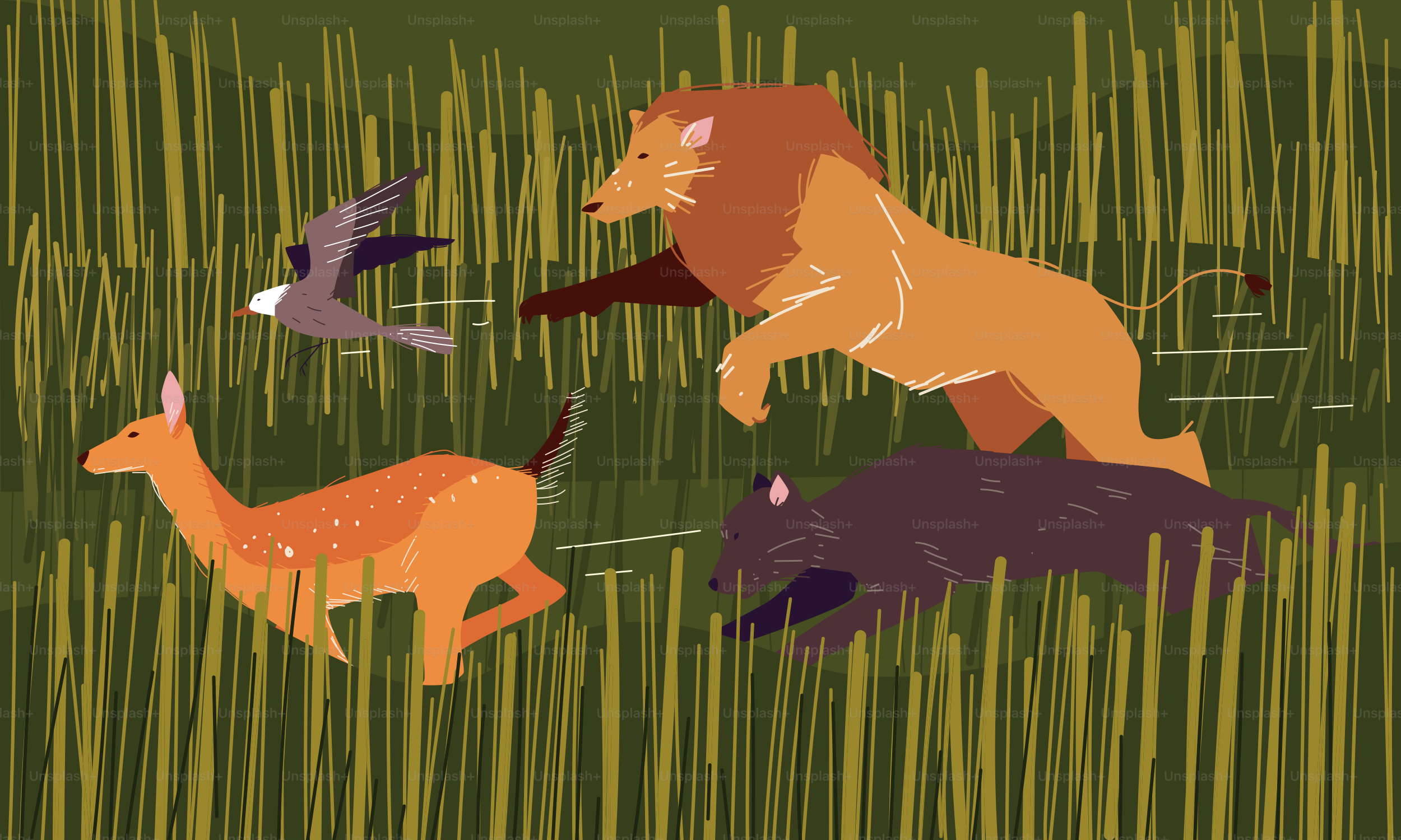 Vektor Singa dan hewan lainnya berlari di rerumputan. – Gambar Singa di ...