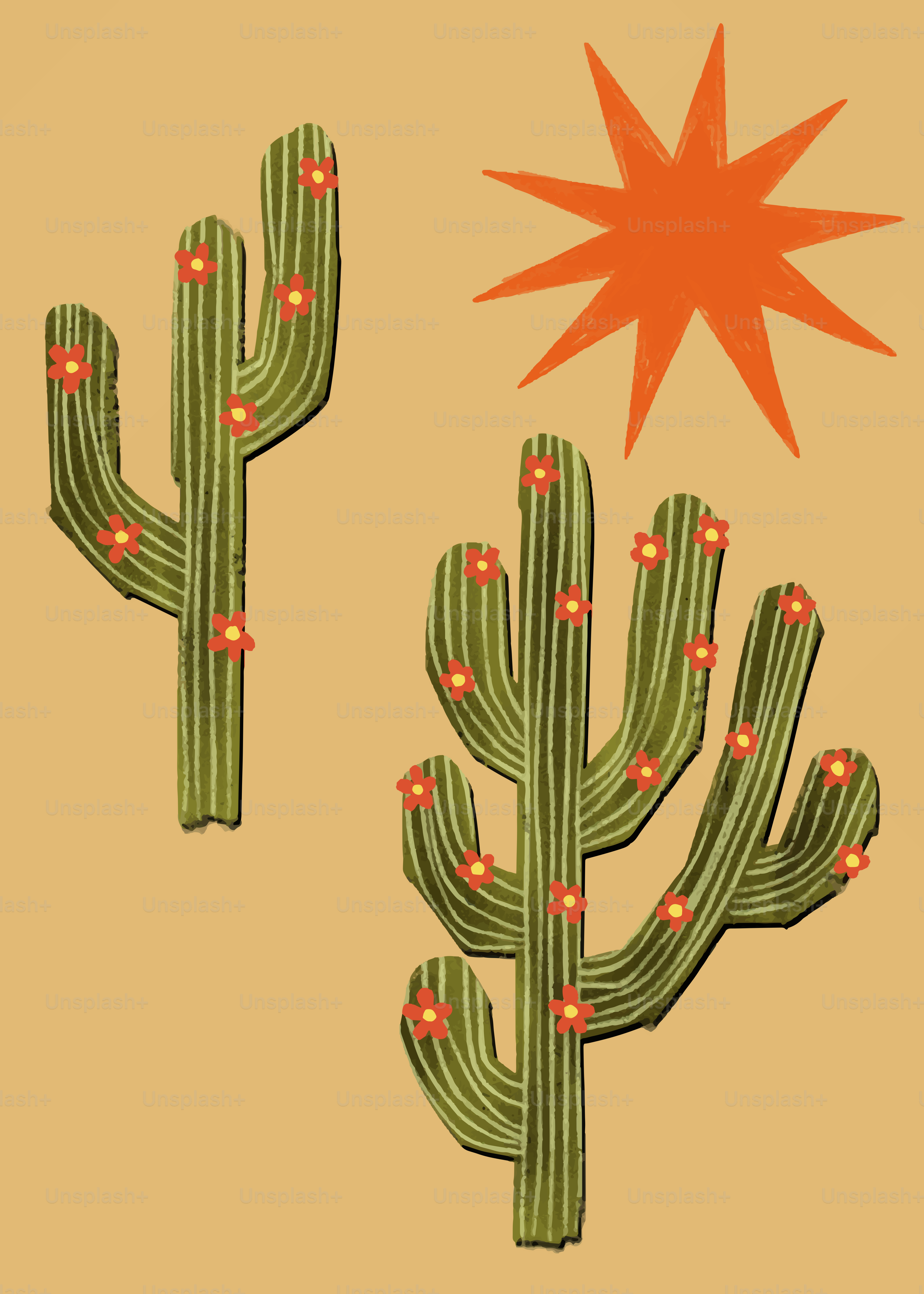 Flowering cacti bloom under the desert sun. vector – Art Image on Unsplash