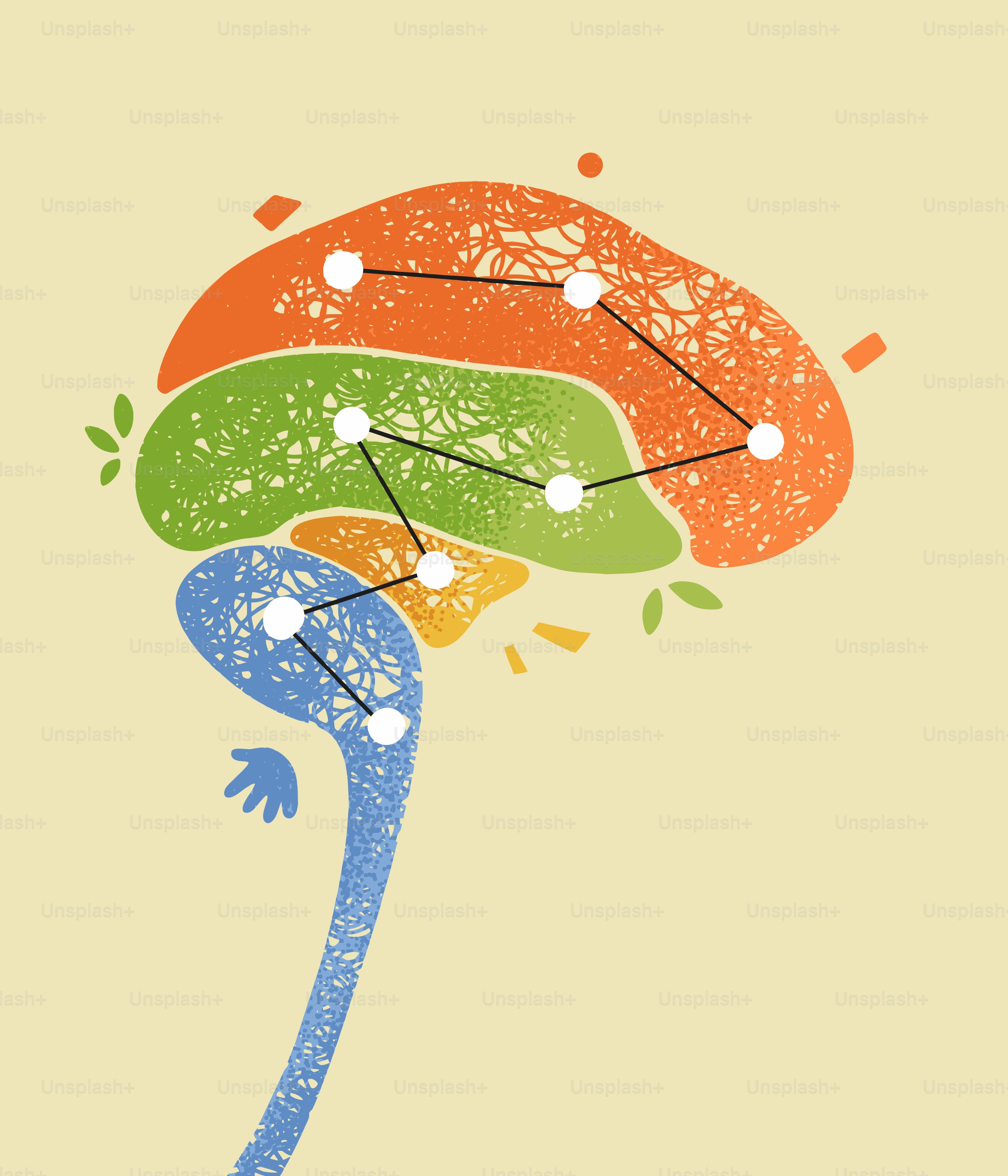 Brain diagram shows connected neural pathways. vector – Illustration ... Brain diagram shows connected neural pathways. vector – Illustration ...