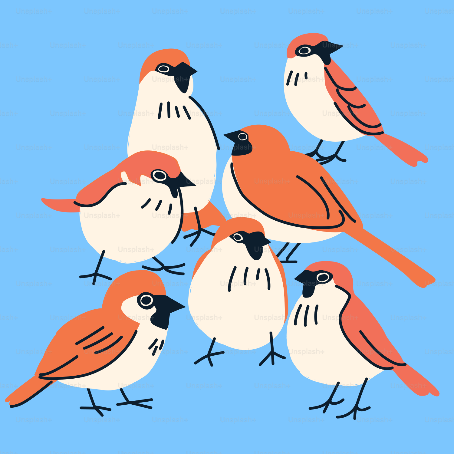 Seven cartoon birds pose on a blue background. vector – Animal Image on ...