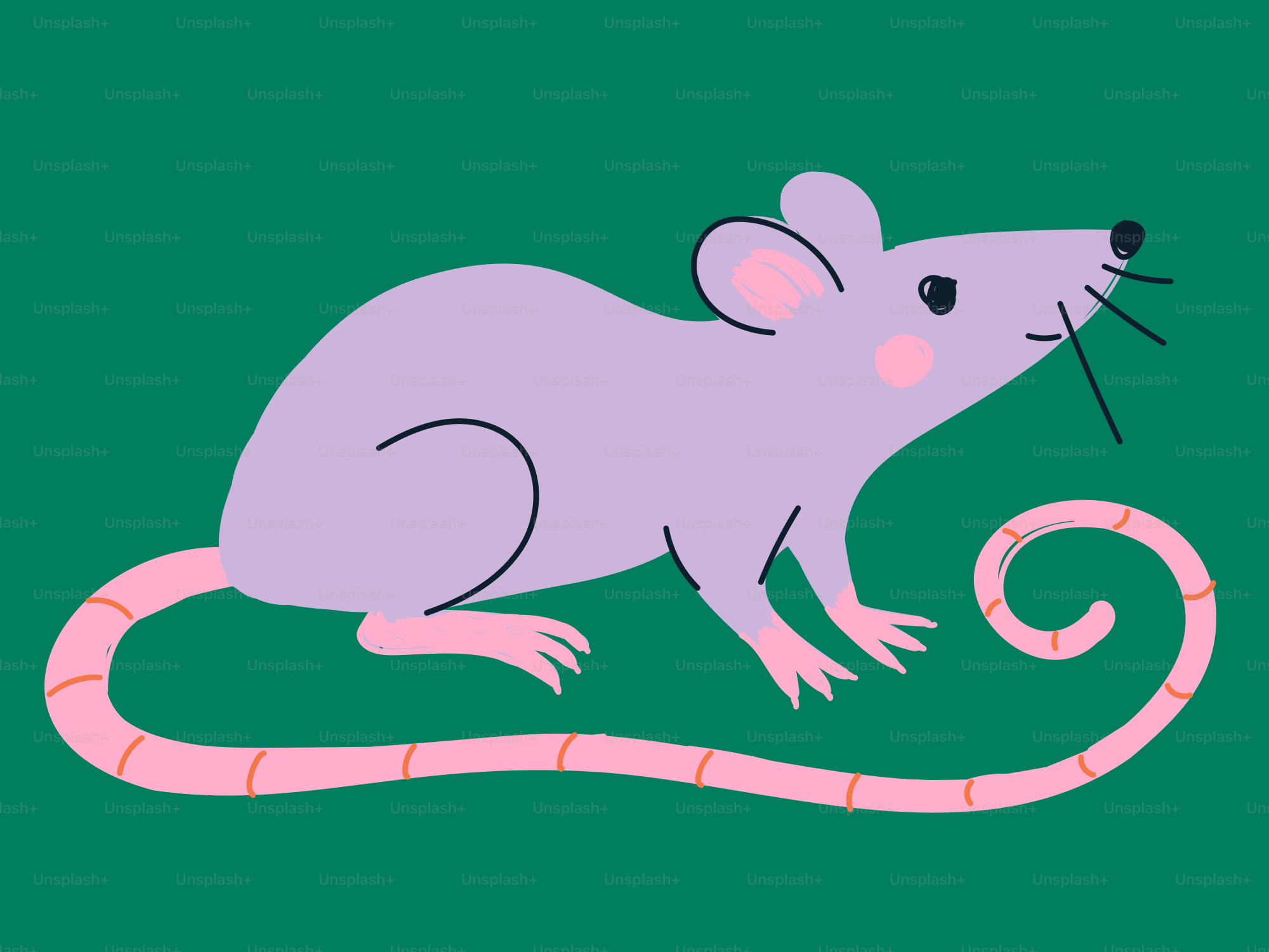 Seven cartoon birds pose on a blue background. vector – Animal Image on ...