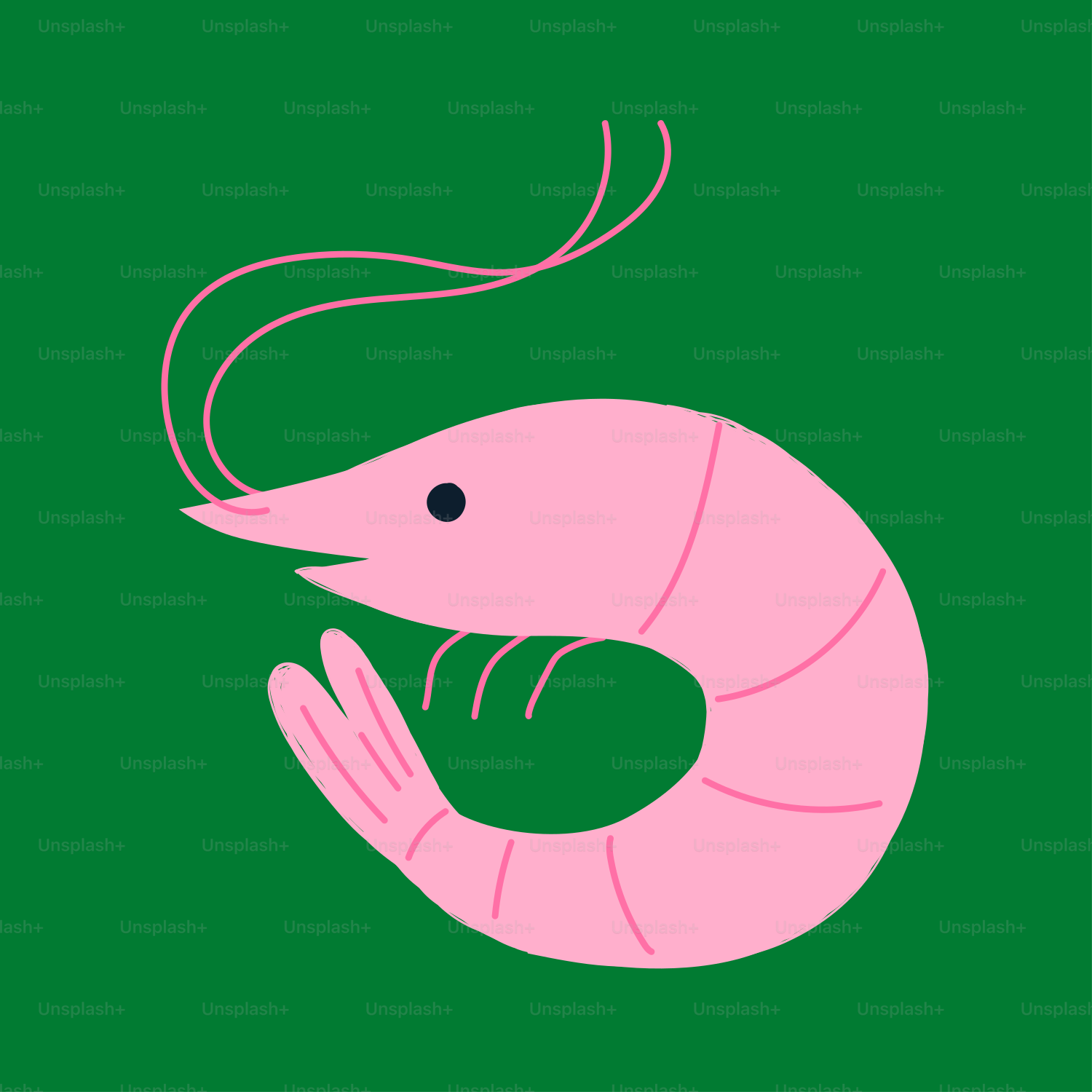 Seven cartoon birds pose on a blue background. vector – Animal Image on ...