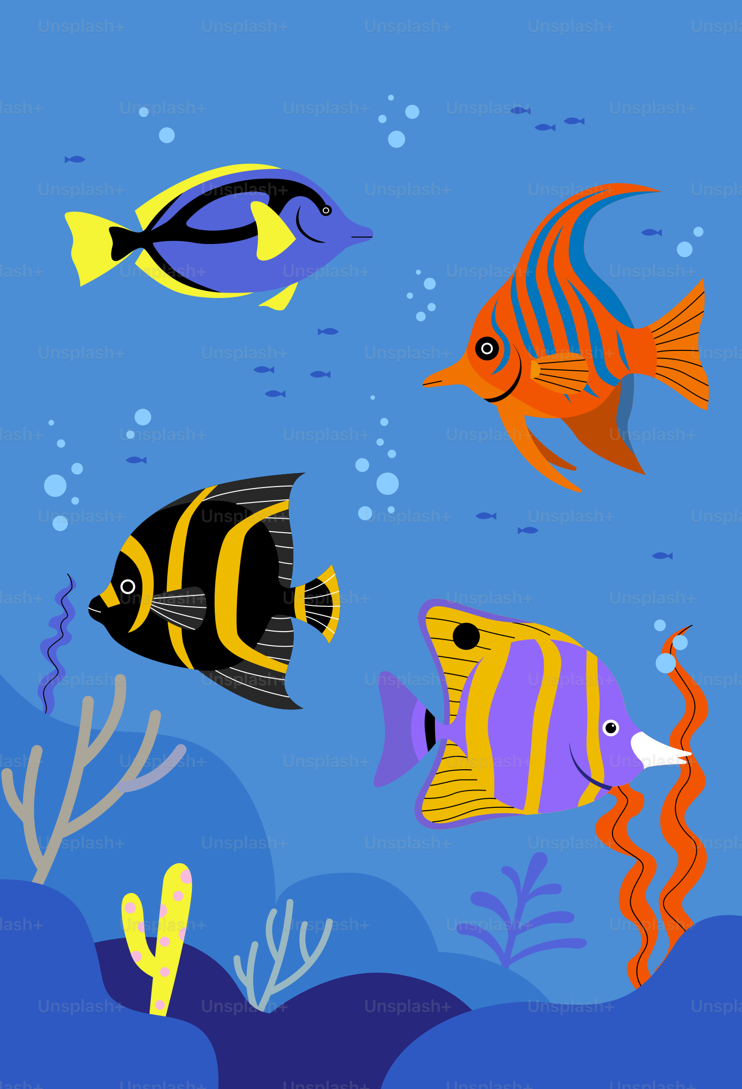 Colorful koi fish swim in a pond. vector – Animal Image on Unsplash