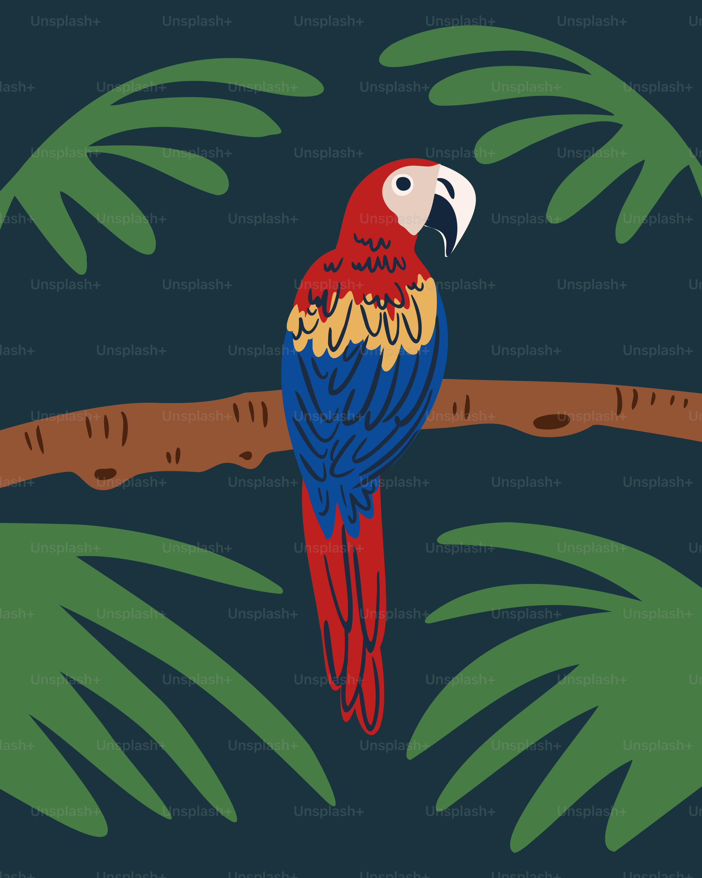 A colorful parrot perches on a branch. vector – Animal Image on Unsplash