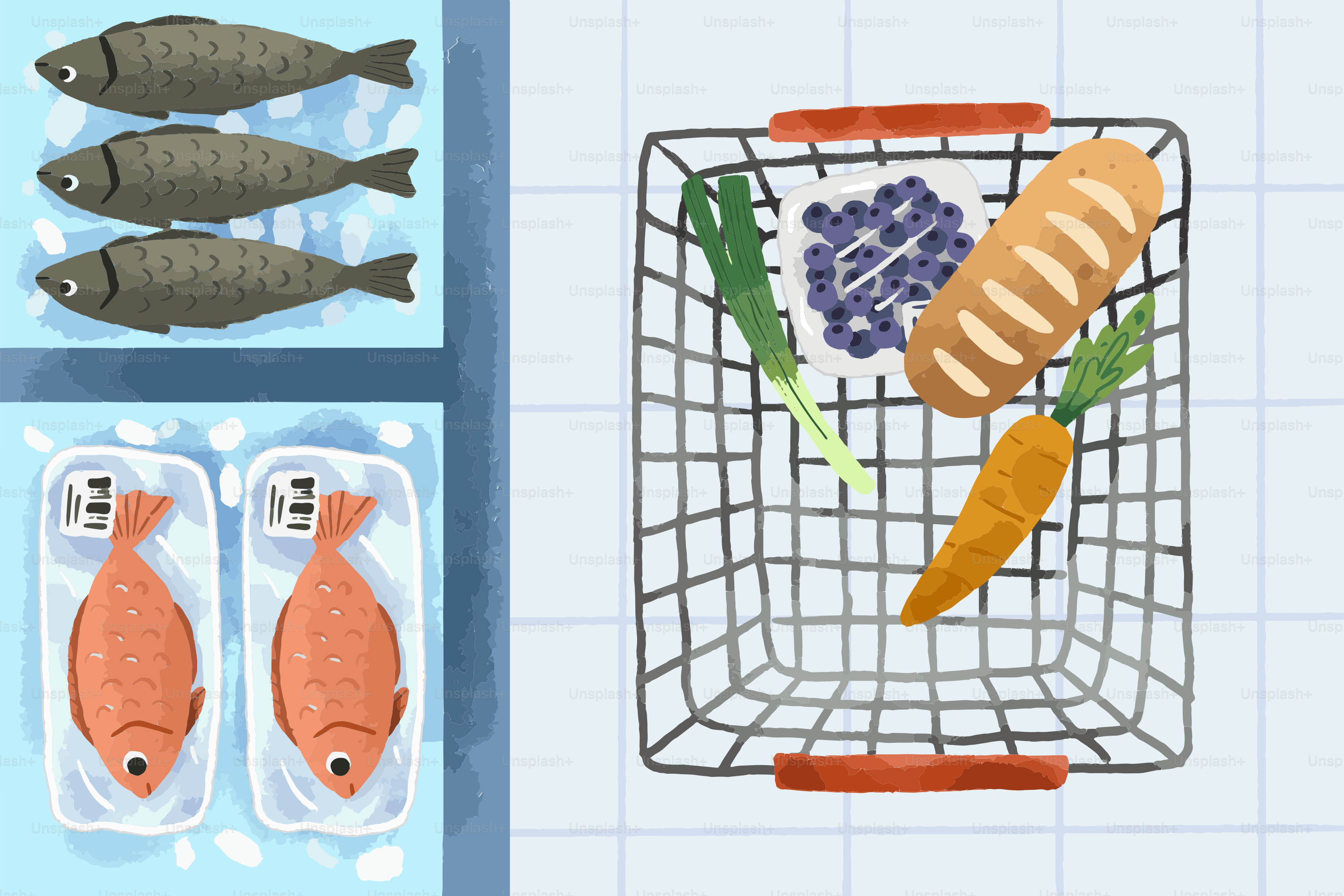 Vektor Bahan makanan termasuk ikan, hasil bumi, dan roti. – Gambar ...