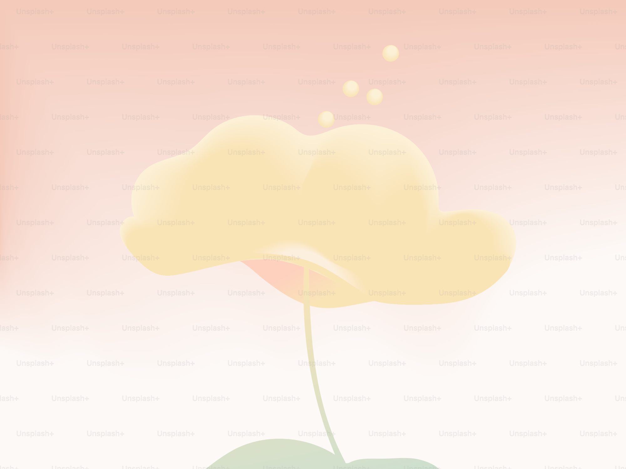 A flower with a cloud-like bloom. vector – Wallpaper Image on Unsplash