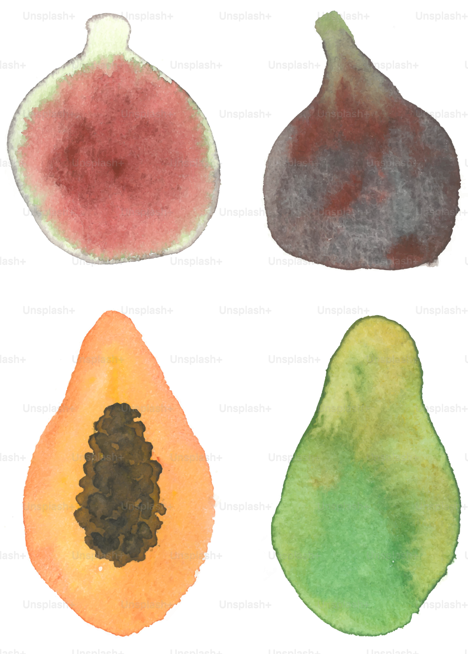 Watercolor fruits: figs, papaya, and pear vector – Abstract Image on ...