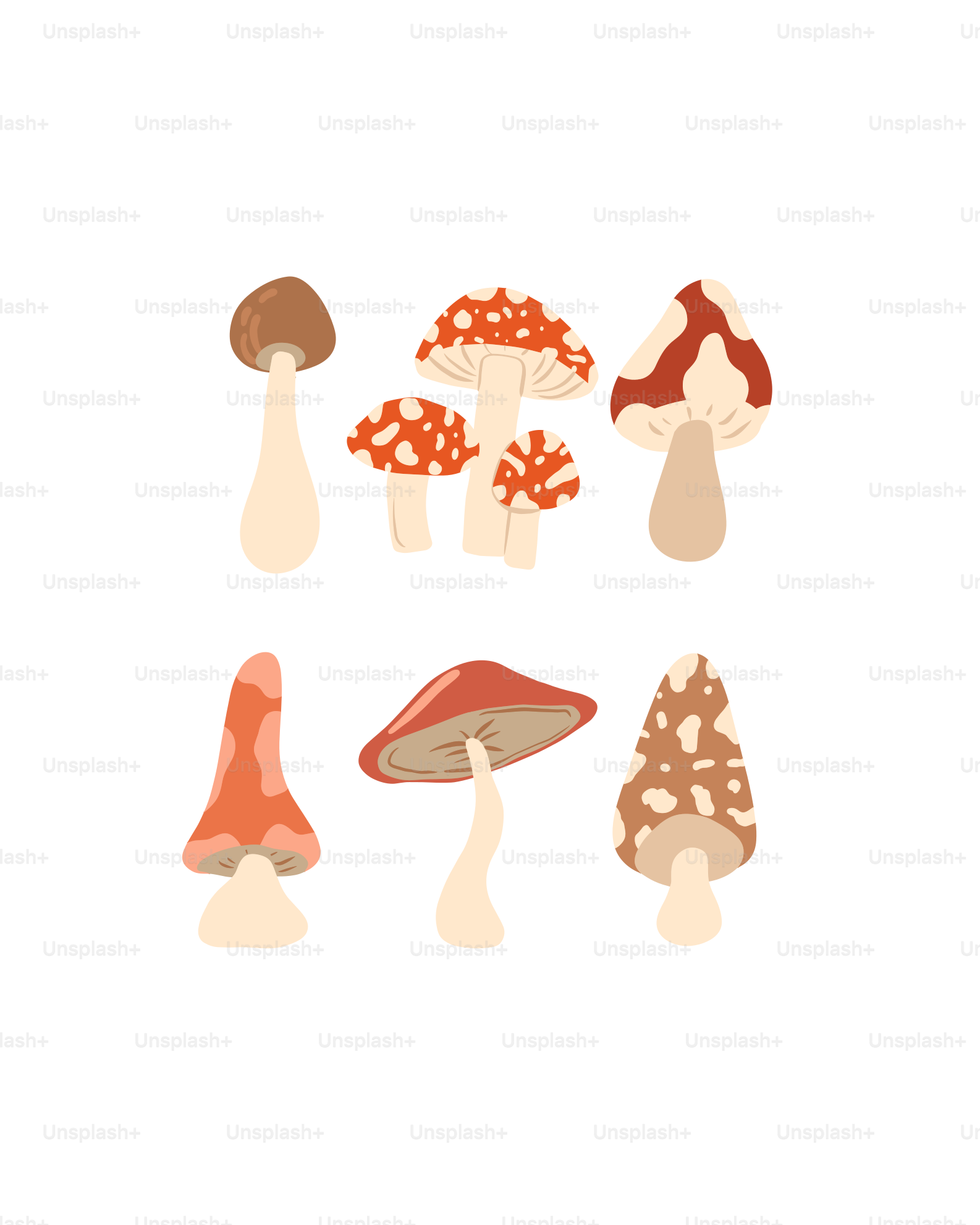 Elementos botánicos otoñales con hojas y vainas de semillas vector ...