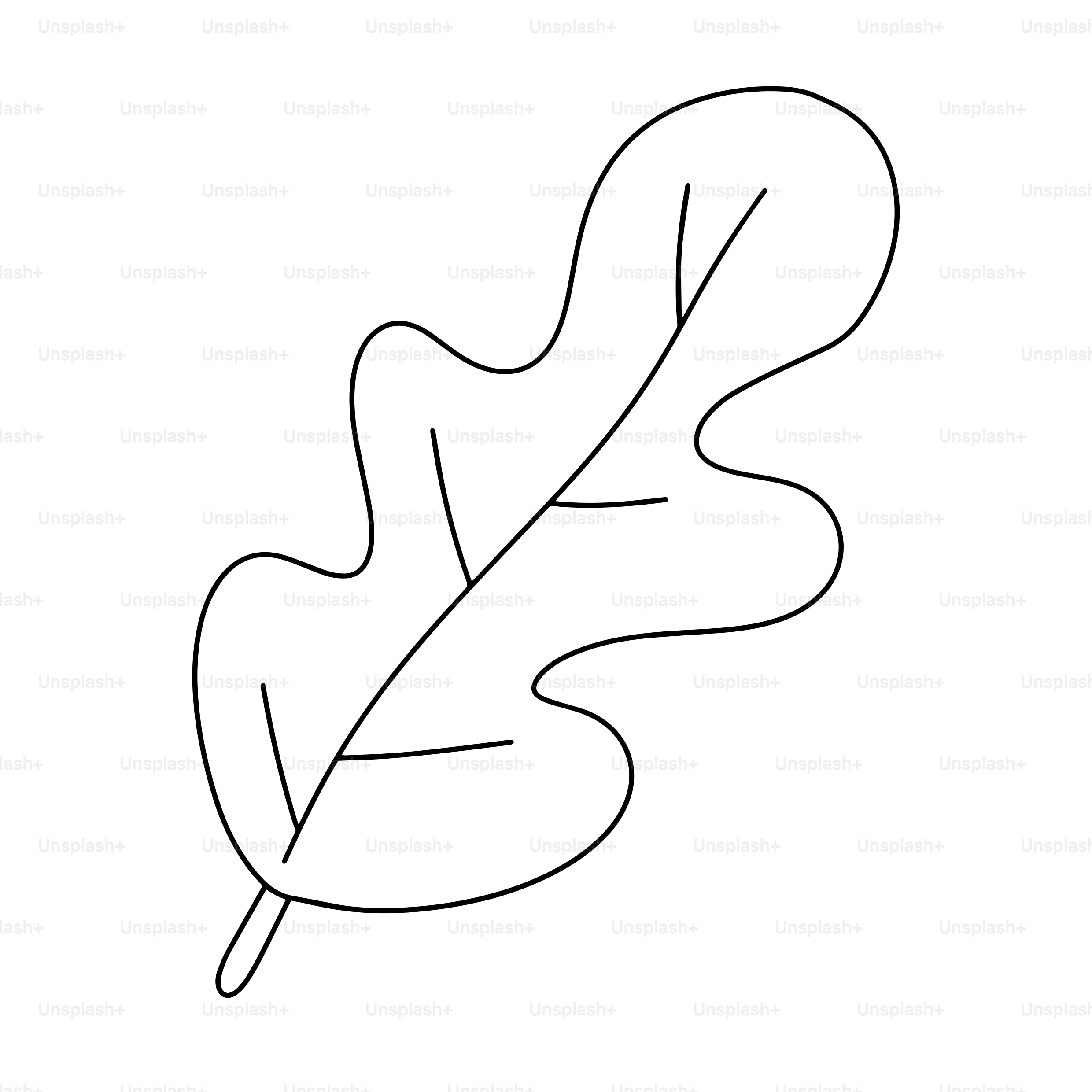 A simple line drawing of a bow vector – Illustration Image on Unsplash